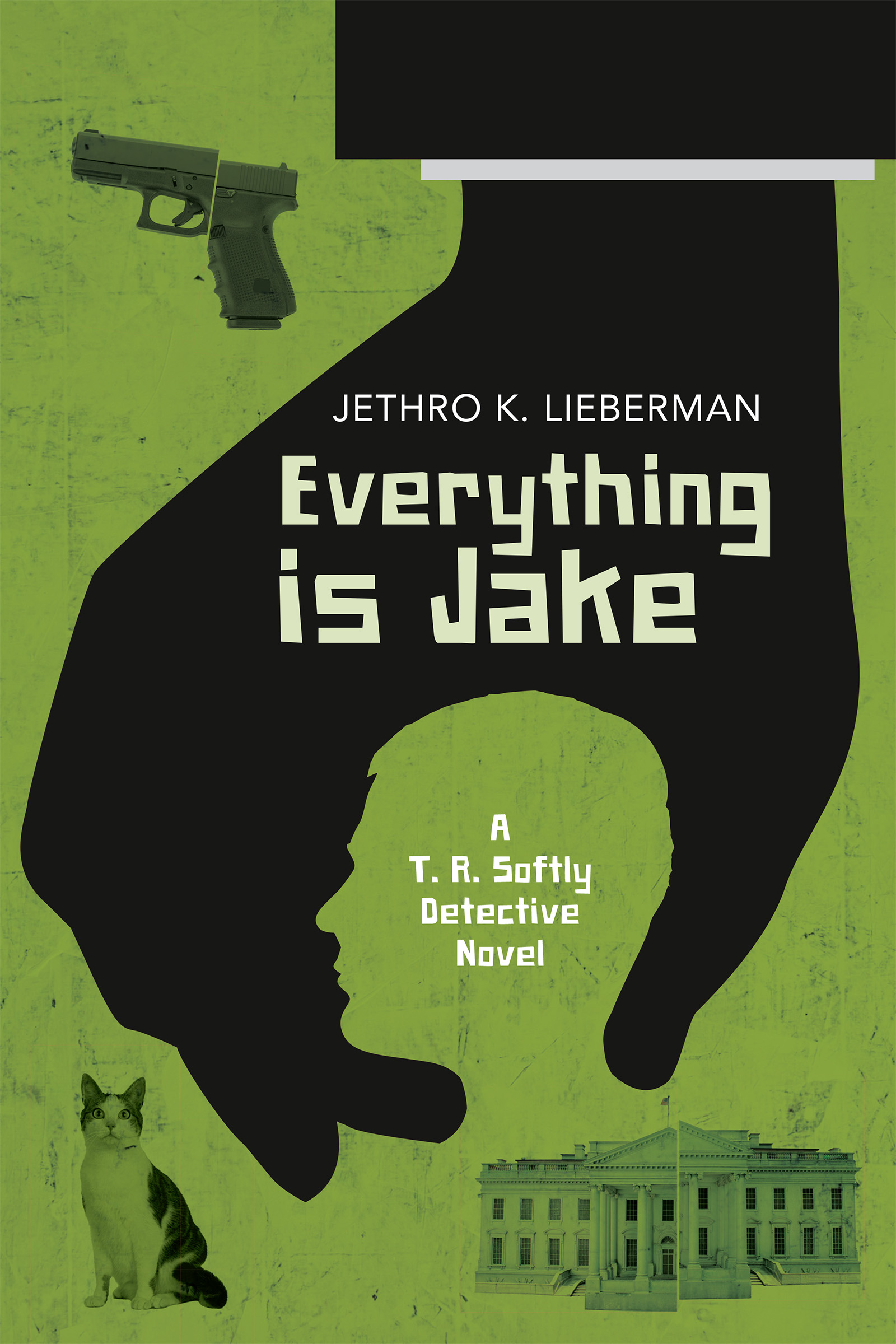 Everything Is Jake by Jethro K. Lieberman | Goodreads