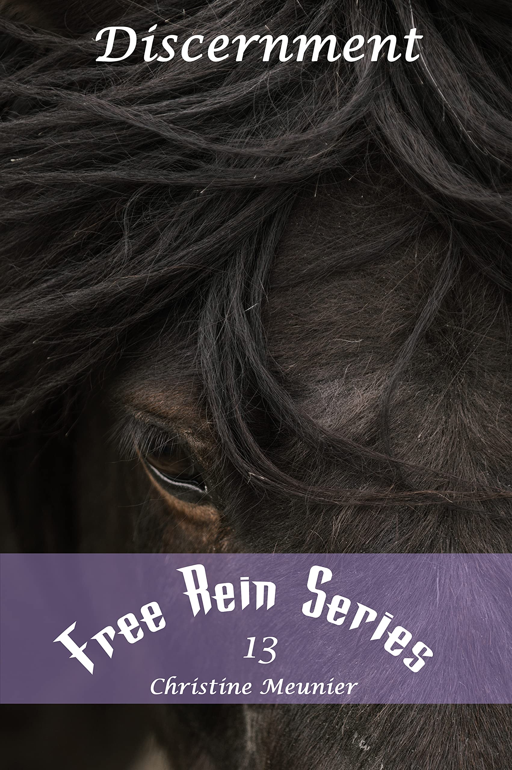 Discernment (Free Rein Series Book 13) by Christine Meunier | Goodreads