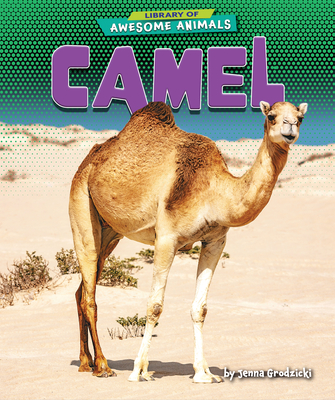 Camel - Non-Fiction Reading for Grade 3, Developmental Learning for ...