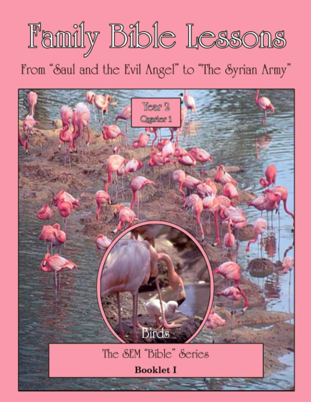 Family Bible Lessons Year 2 Quarter 1 by SonLight Education Ministry ...