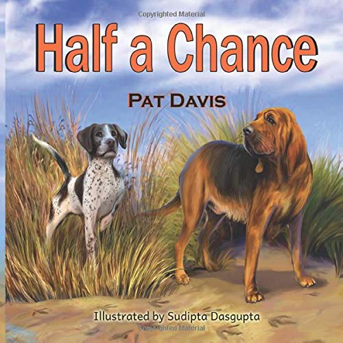 Half a Chance: The Chicken hunt by Pat Davis | Goodreads