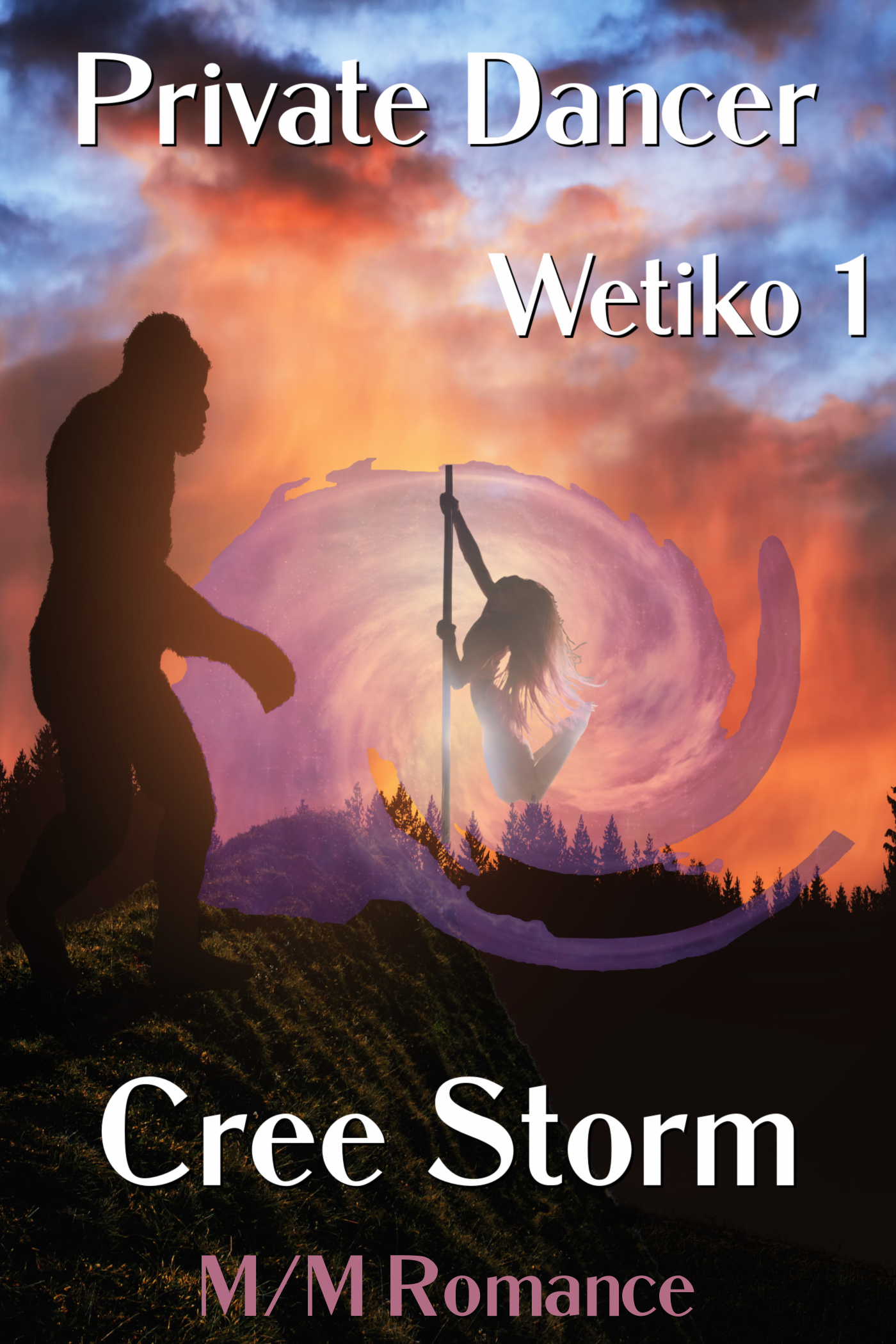 Private Dancer (Wetiko #1) by Cree Storm | Goodreads