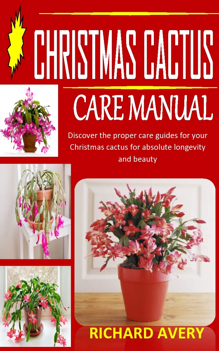 CHRISTMAS CACTUS CARE MANUAL: Discover the proper care guides for your ...
