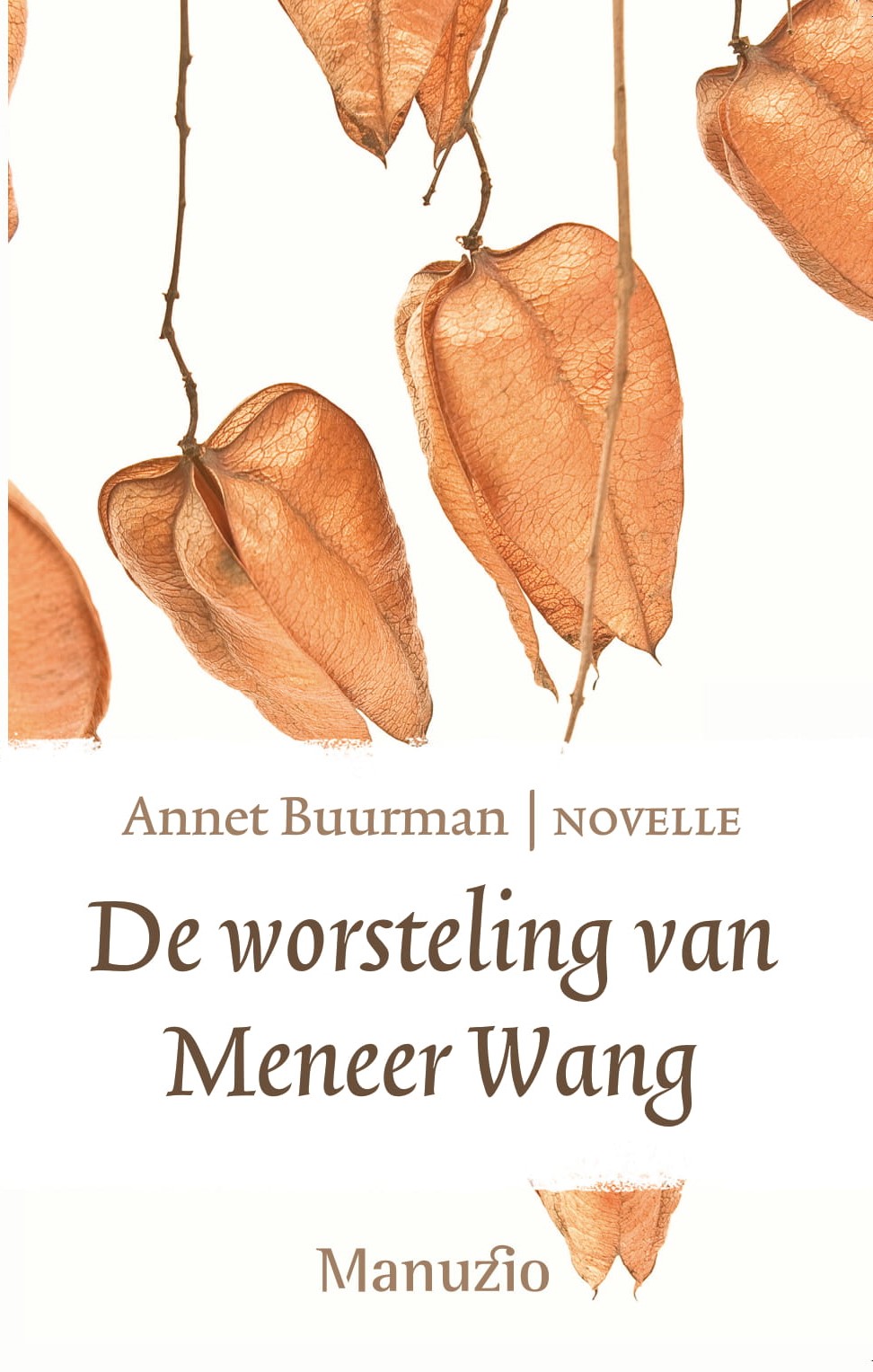 De worsteling van Meneer Wang by Annet Buurman | Goodreads