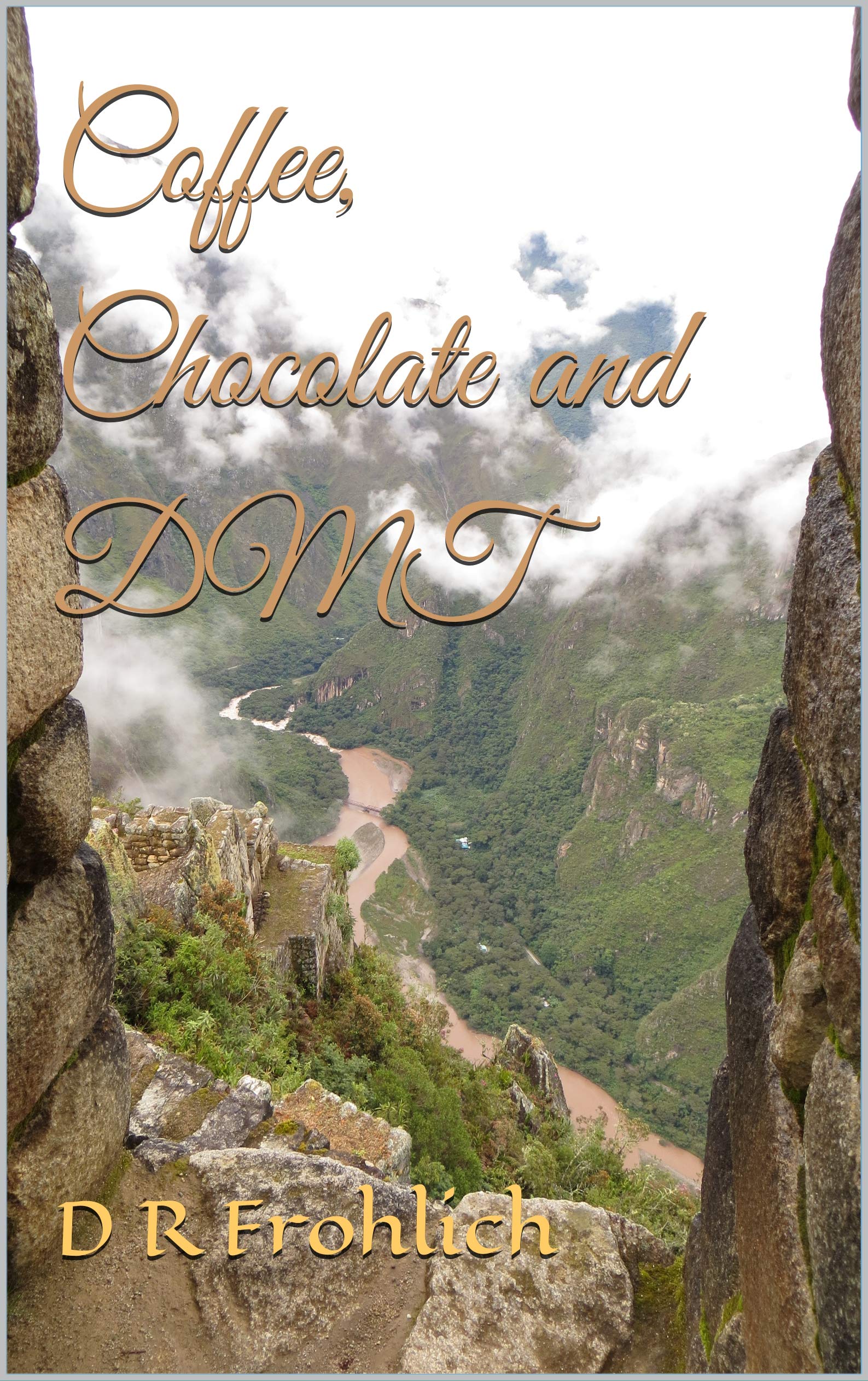 Coffee, Chocolate and DMT by D.R. Frohlich | Goodreads