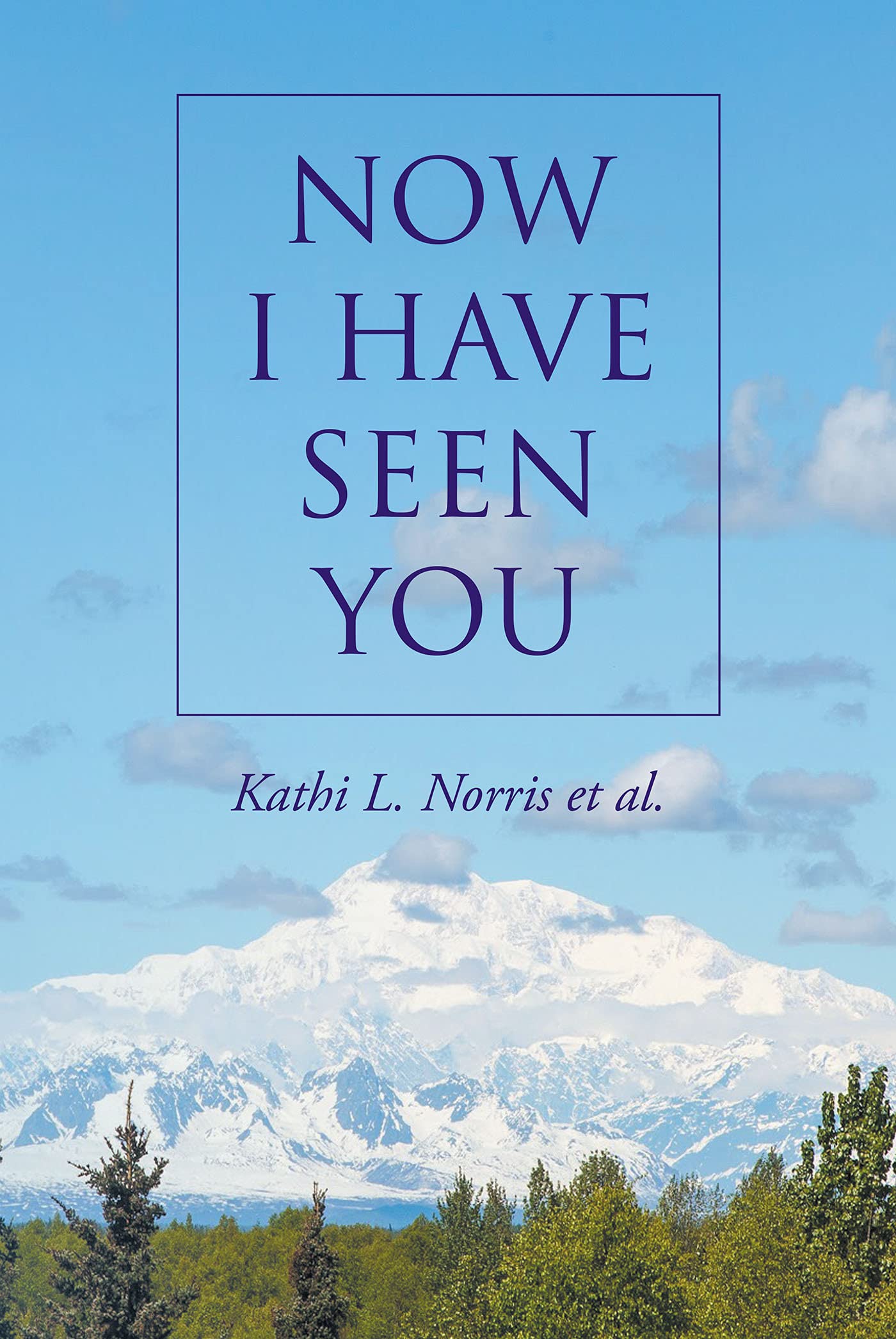 Now I Have Seen You by Kathi L Norris Et Al | Goodreads
