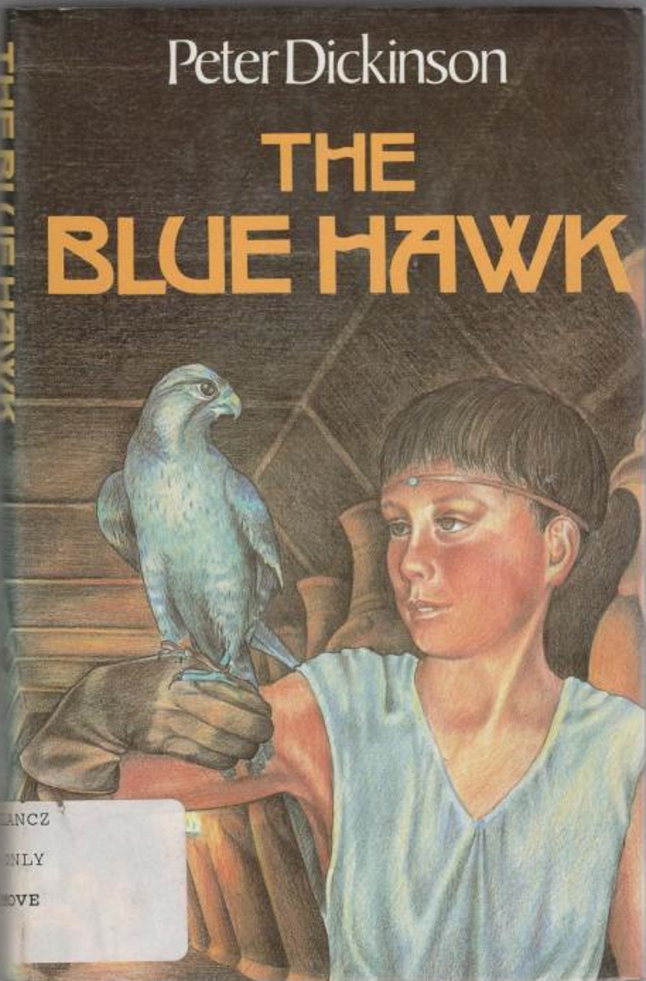 Blue Hawk by Peter Dickinson | Goodreads