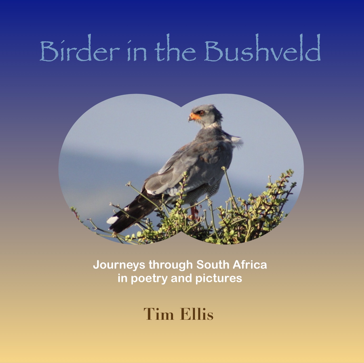 Birder in the Bushveld: Journeys through South Africa in poetry and ...