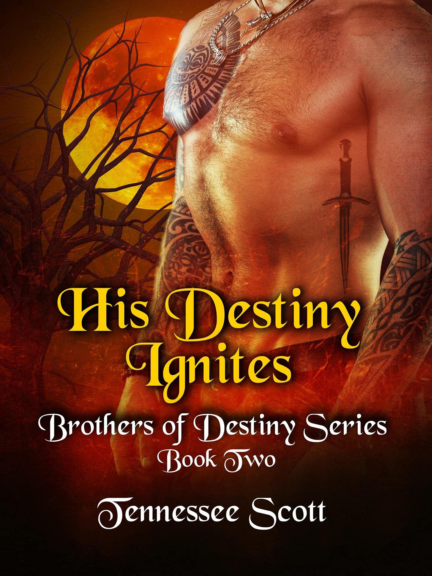 His Destiny Ignites (Brothers of Destiny, Book 2) by Tennessee Scott ...