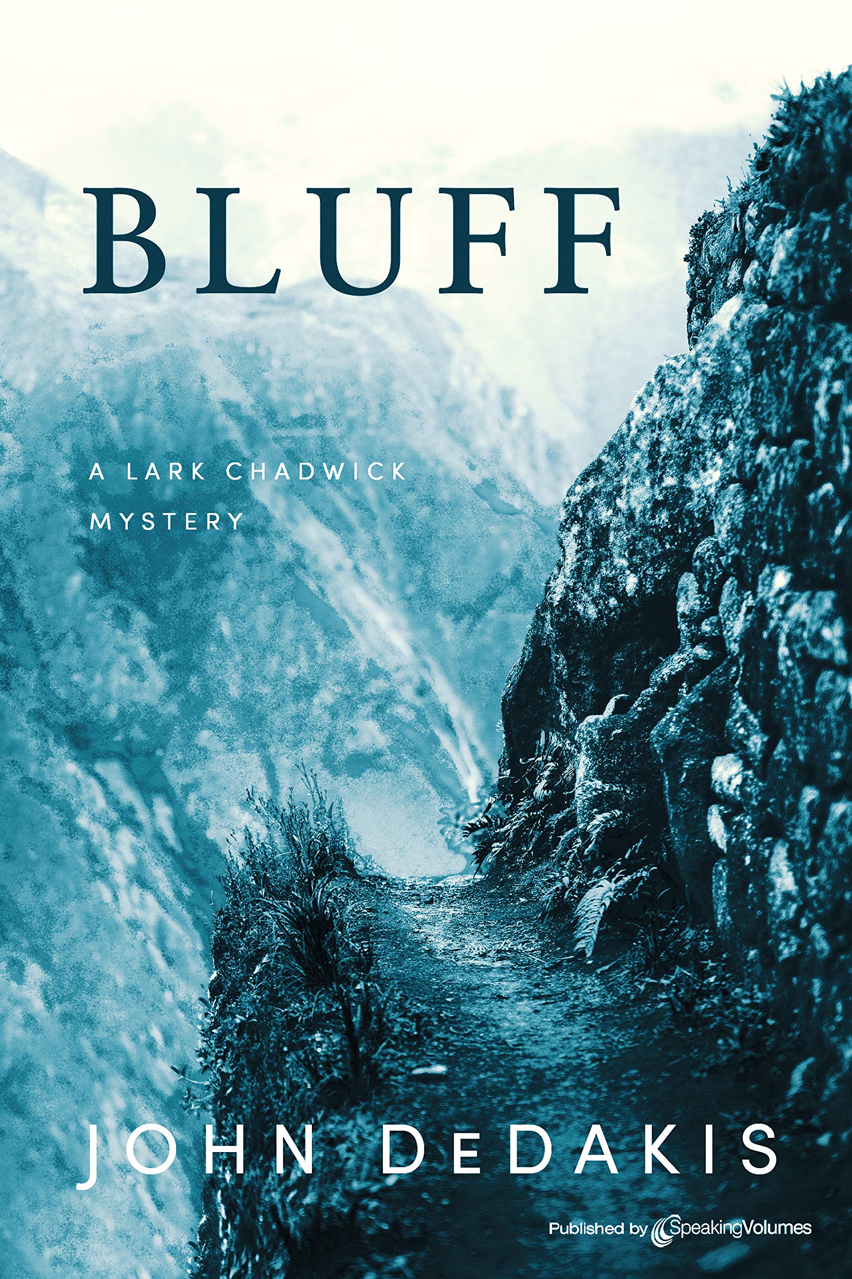 Bluff (Lark Chadwick Mysteries Book 2) by John DeDakis | Goodreads