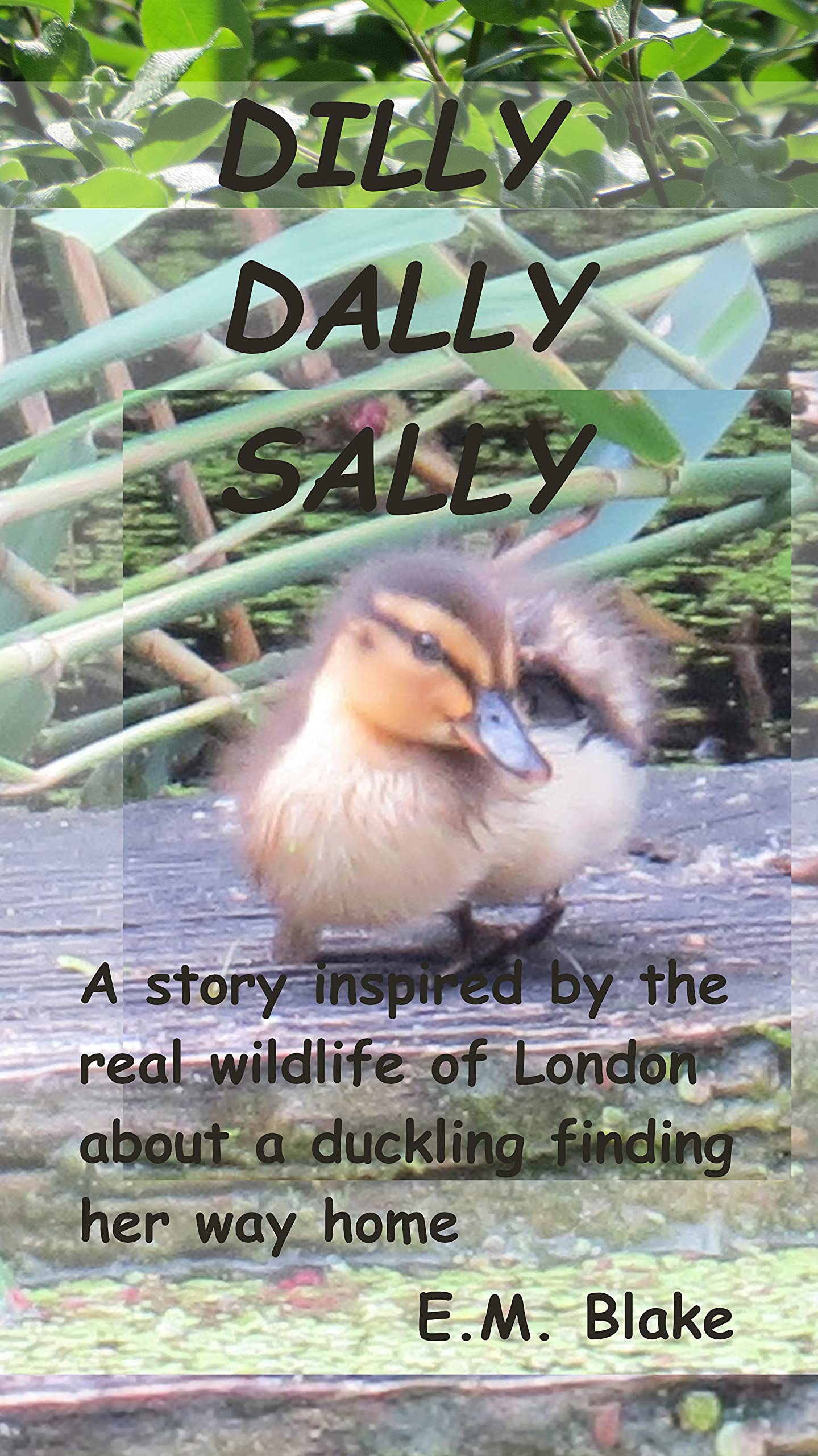 Dilly Dally Sally: An East London duckling adventure for nature lovers ...