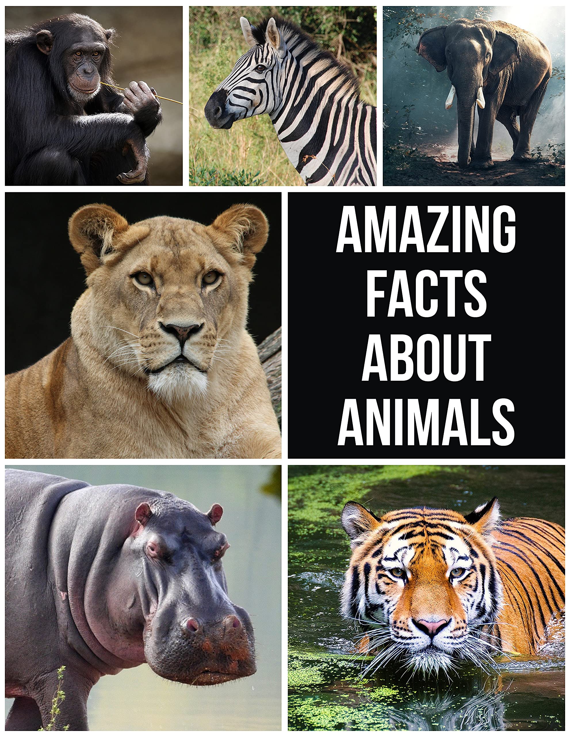 Amazing facts about animals with beautiful photos : Unknown Animal ...