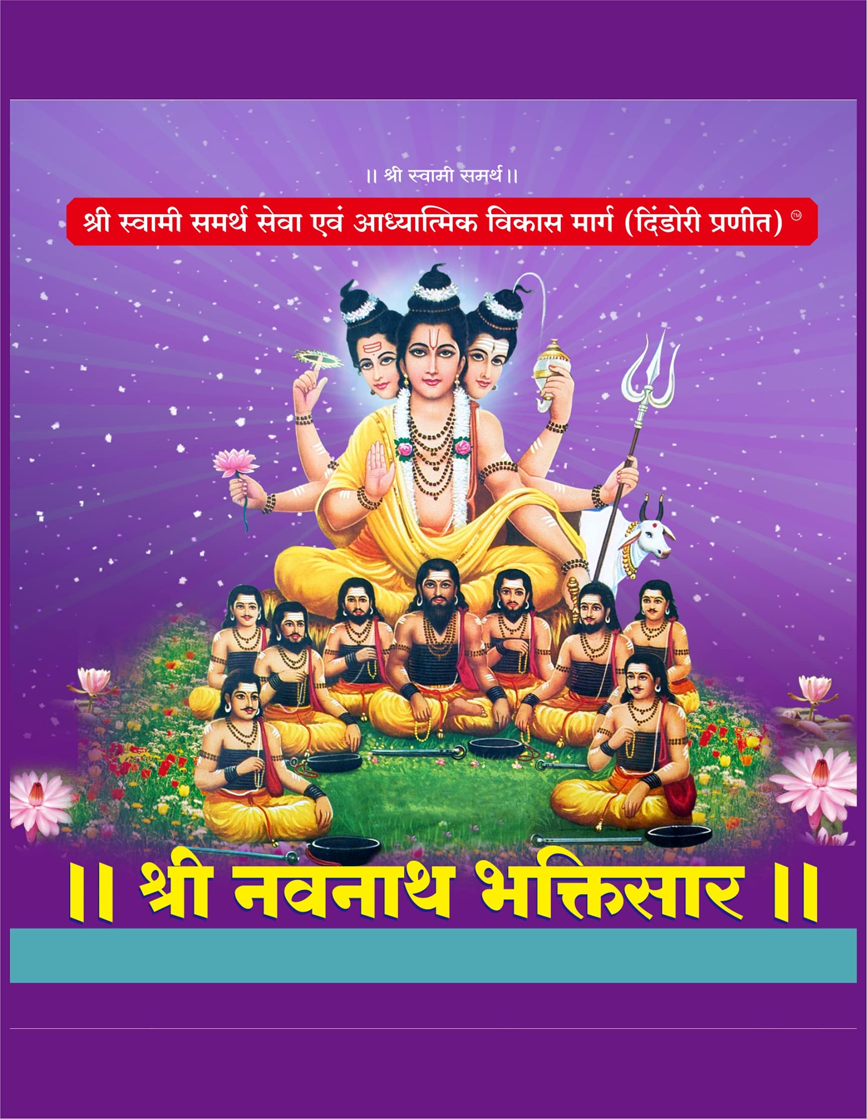 Shri Navnath Bhaktisar Hindi: 900 verses by Shri Swami Seva Prakashan ...