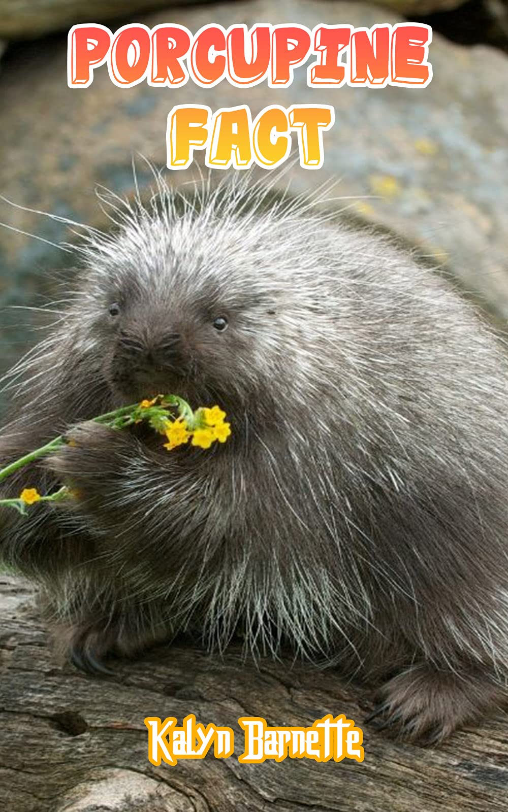PORCUPINE FACT: PORCUPINE fact for girl age 1-10 PORCUPINE fact for boy ...