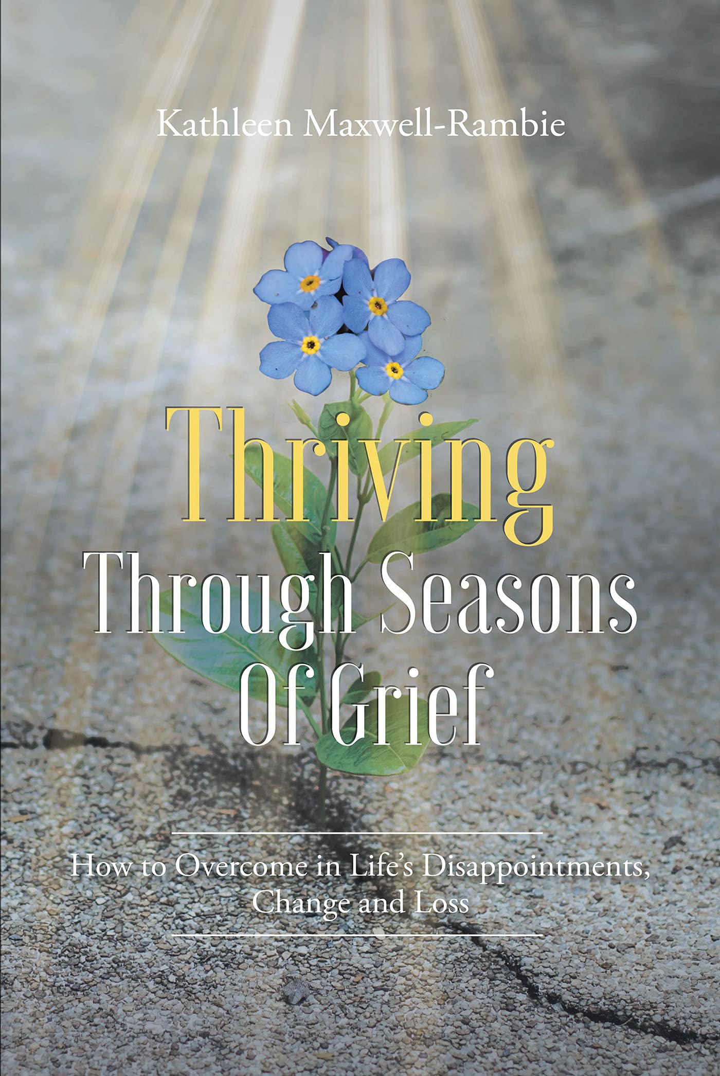 Thriving Through Seasons of Grief: How to Overcome in Life's ...