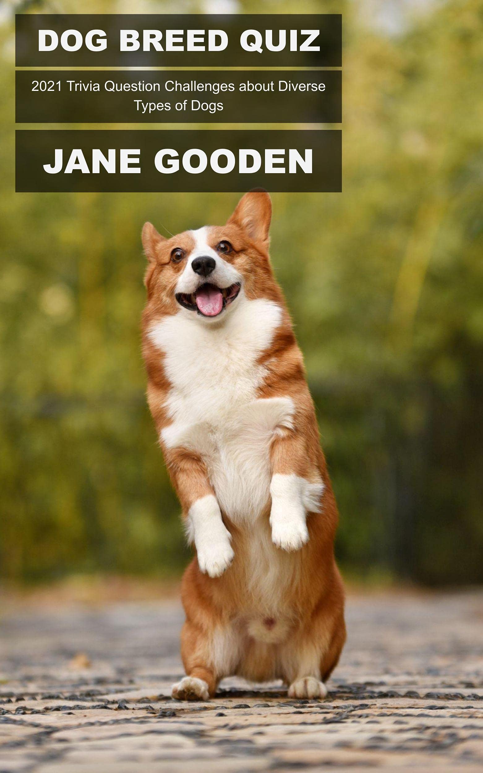 Dog Breed Quiz: 2021 Trivia Question Challenges about Diverse Types of ...