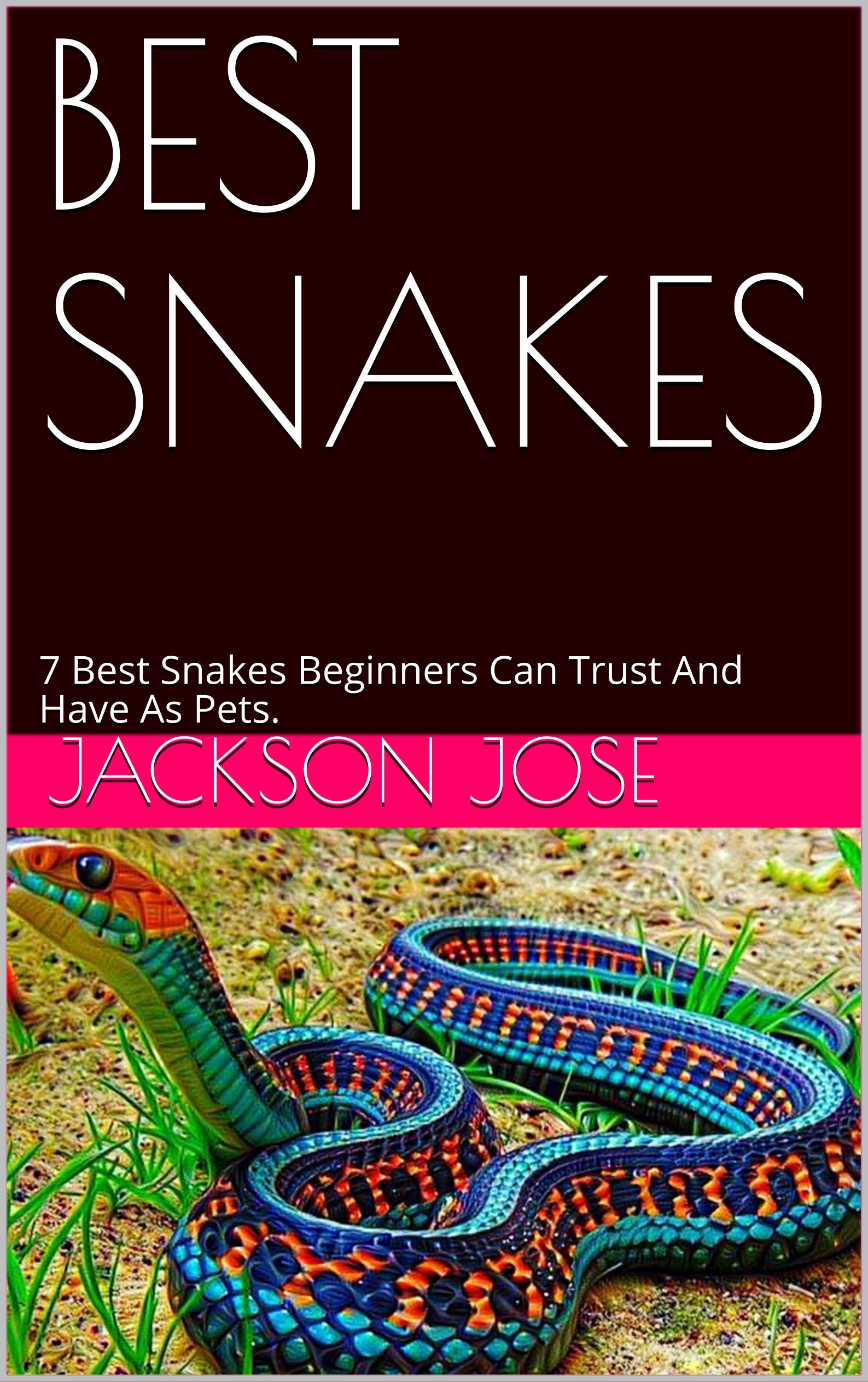 BEST SNAKES: 7 Best Snakes Beginners Can Trust And Have As Pets. by ...