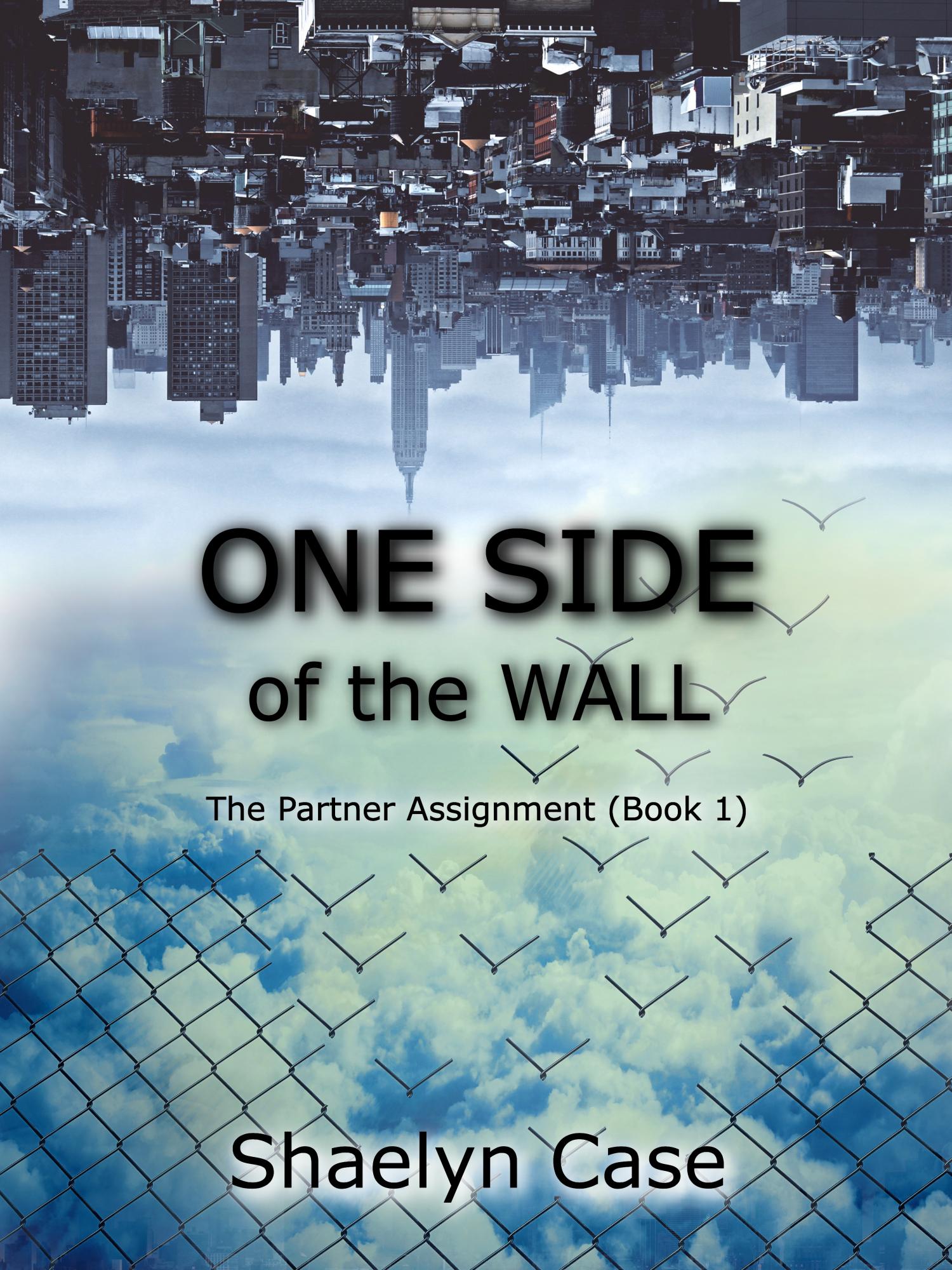 One Side of the Wall (The Partner Assignment, #1) by Shaelyn Case ...