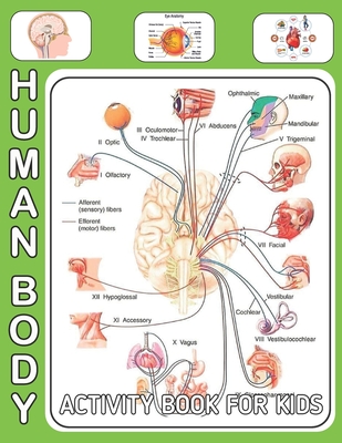 Human Body Activity Book For Kids: An Amazing Inside-Out Tour of the ...