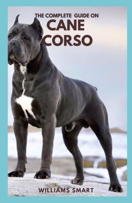 The Complete Guide on Cane Corso: Grooming, Training, Owing And Caring ...