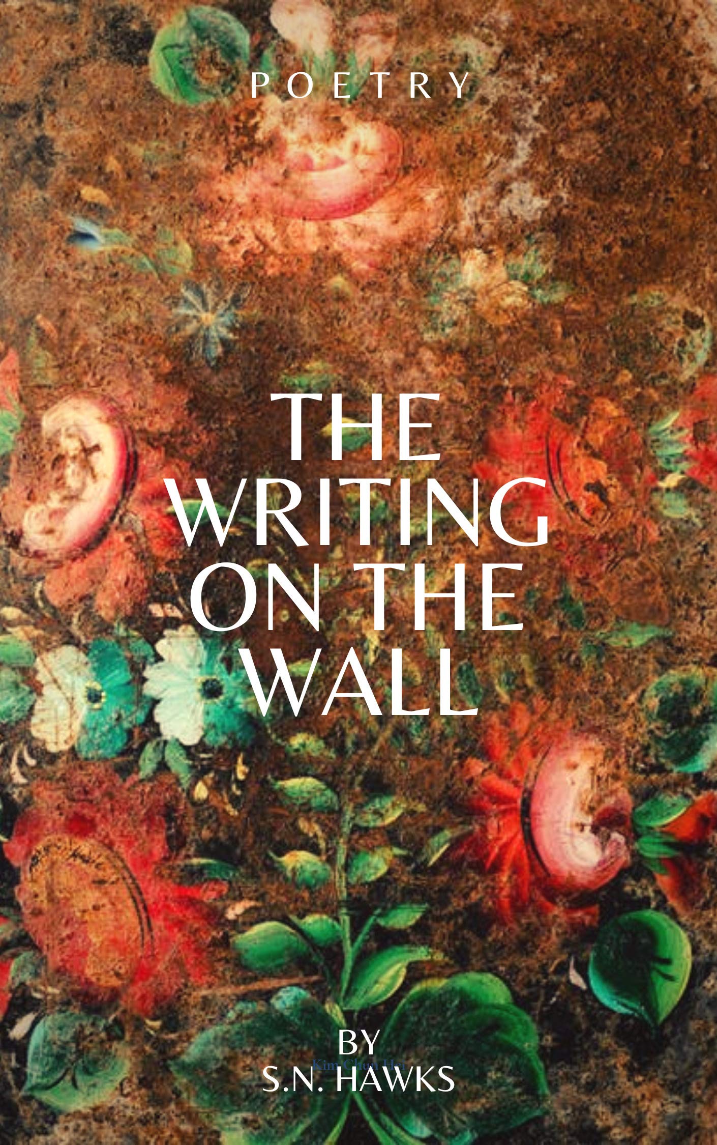 The Writing On the Wall by Stacy Hawks | Goodreads