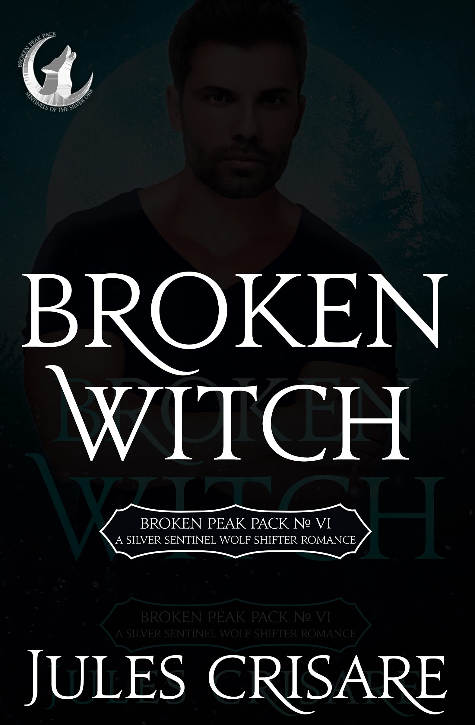 Broken Witch: A Silver Sentinels Fated Mates Wolf Shifter Romance by ...
