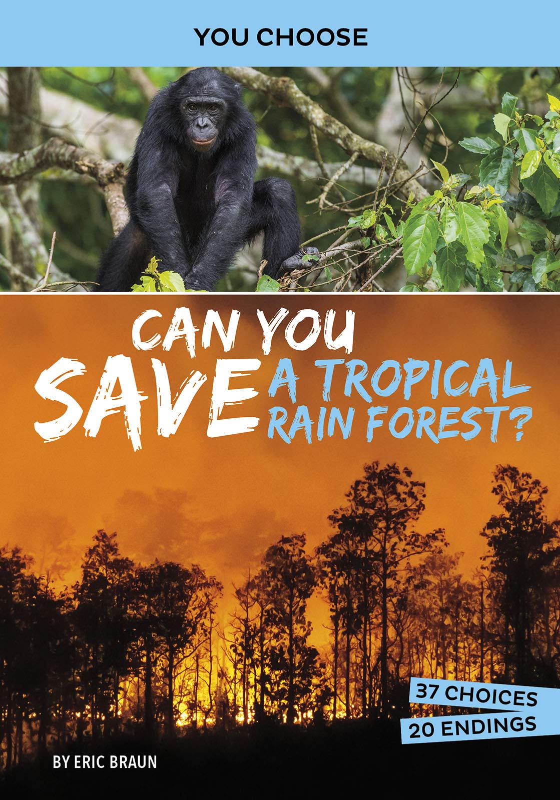 Can You Save a Tropical Rain Forest?: An Interactive Eco Adventure by ...