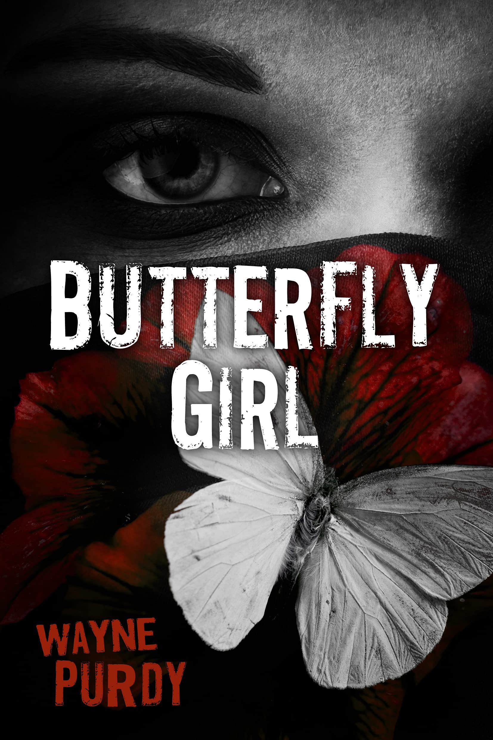 Butterfly Girl (Heck Collins Mystery Book 1) by Wayne Purdy | Goodreads