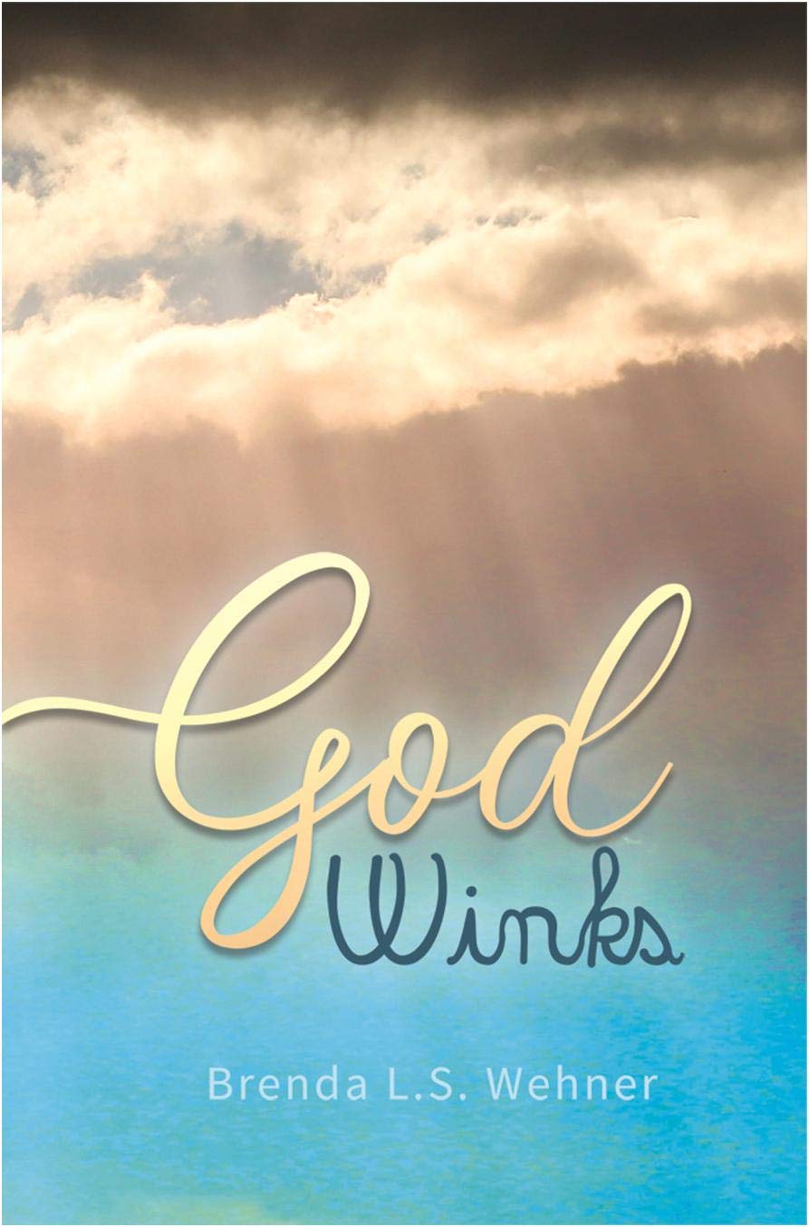 God Winks by Brenda L.S. Wehner | Goodreads
