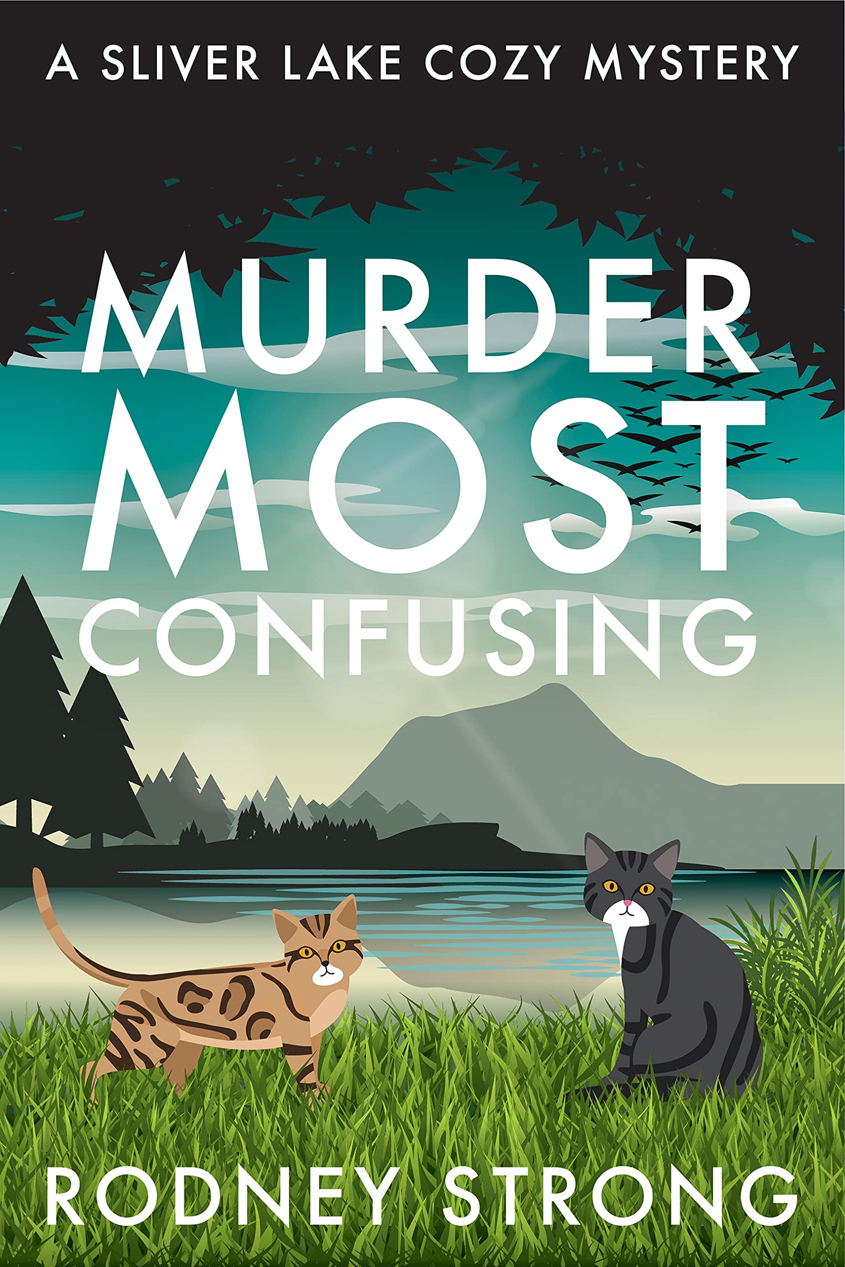Murder Most Confusing (Sliver Lake #1) by Rodney Strong | Goodreads