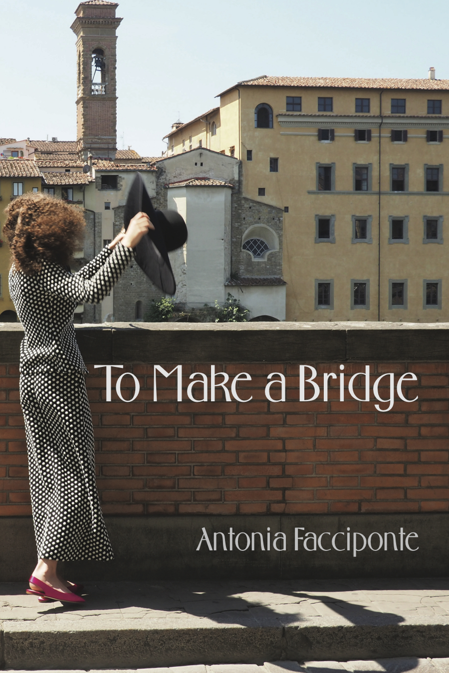 To Make a Bridge by Antonia Facciponte | Goodreads