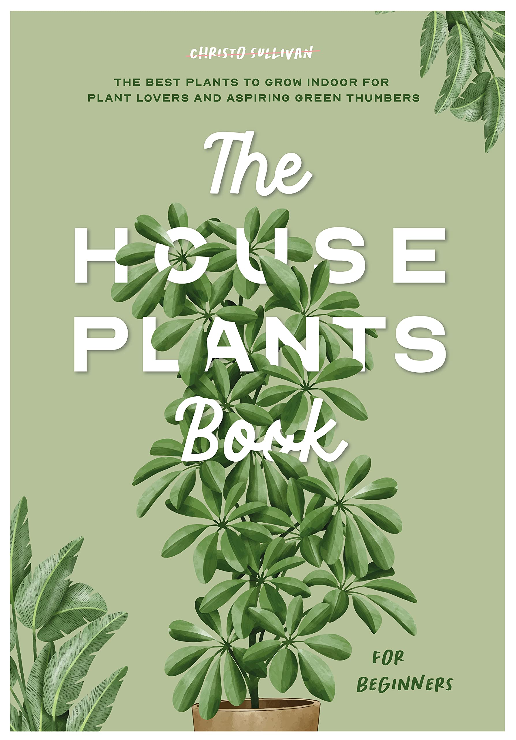 The Houseplants Book for Beginners: The Best Plants to Grow Indoors for ...