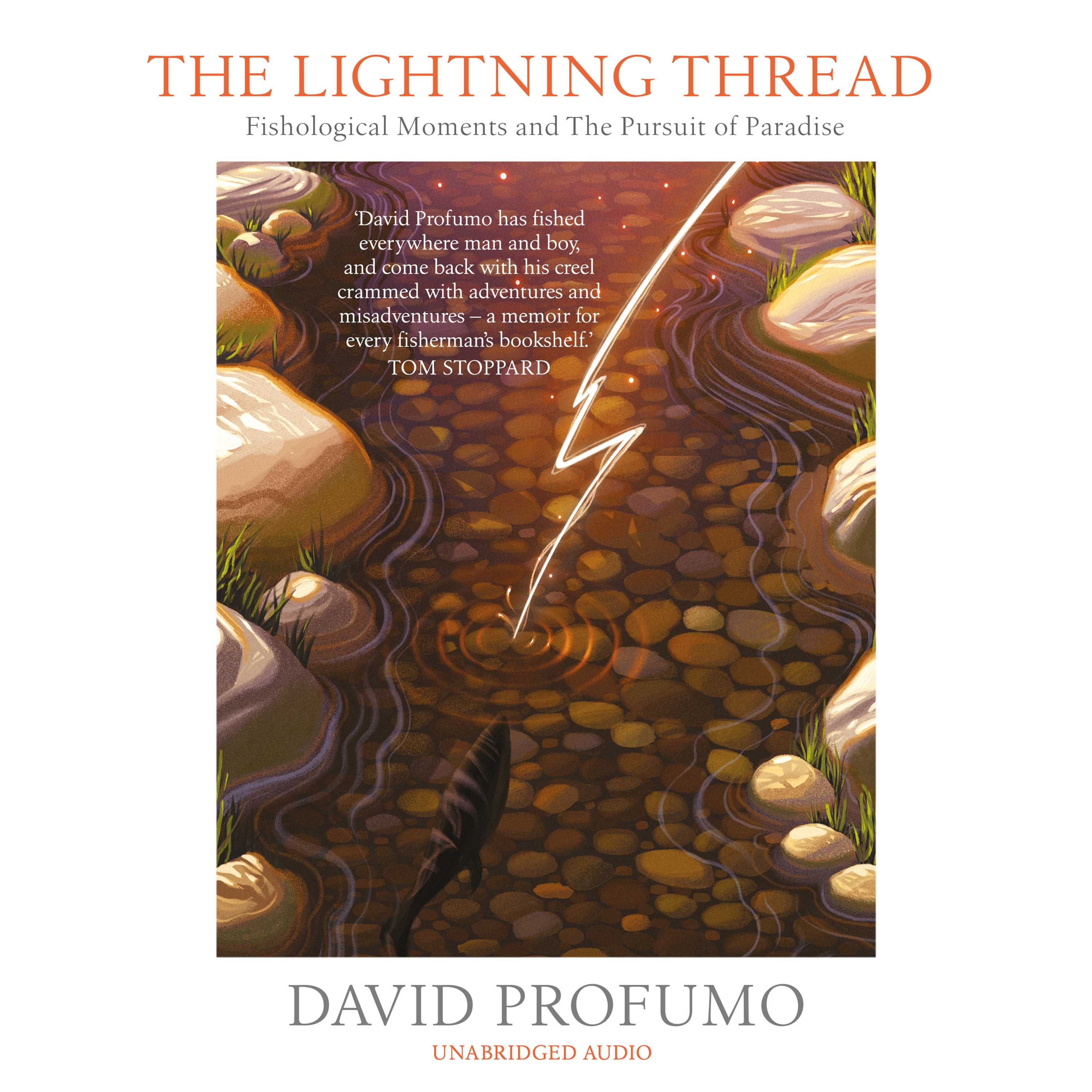 The Lightning Thread: Fishological Moments and The Pursuit of Paradise ...