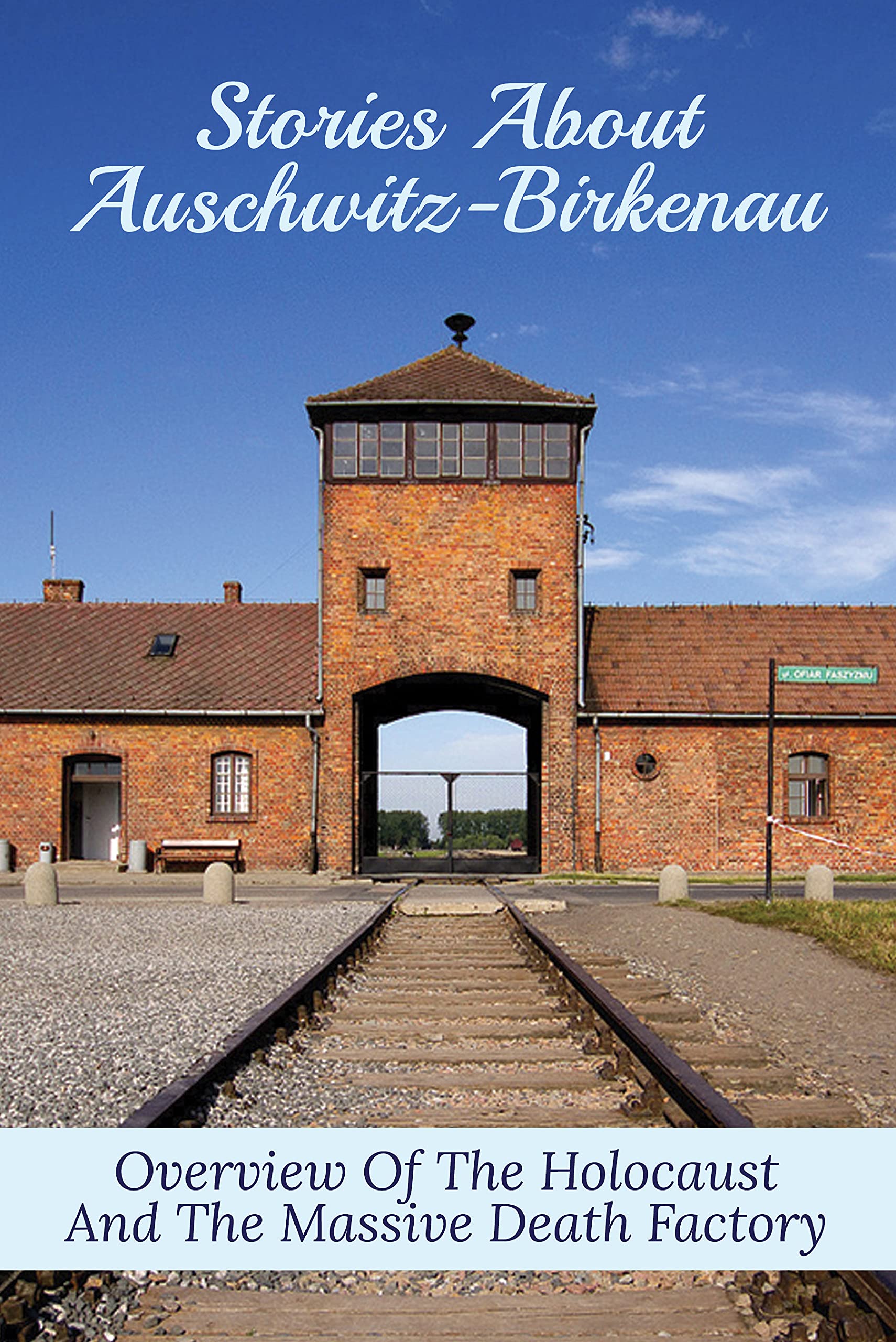 Stories About Auschwitz-Birkenau: Overview Of The Holocaust And The ...