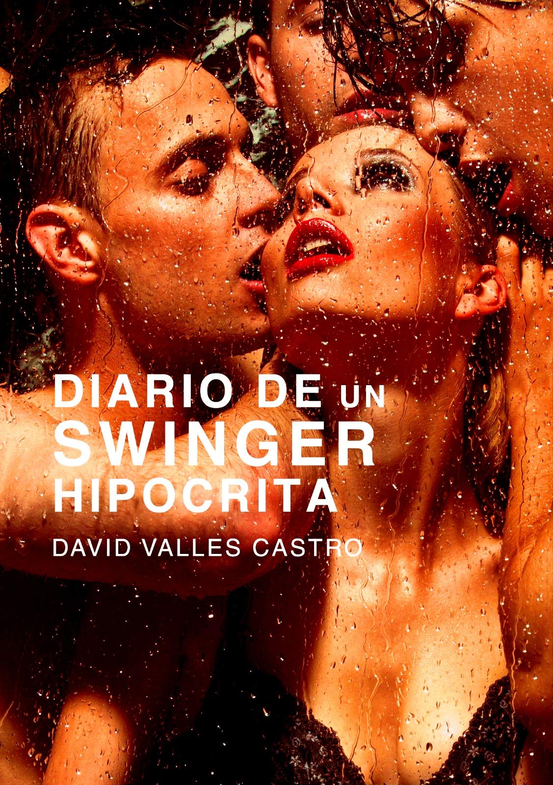 DIARIO DE UN SWINGER HIPÓCRITA: DIARIO DE UN SWINGER HIPÓCRITA de David Vallés (TRILOGIA DIARIO ...