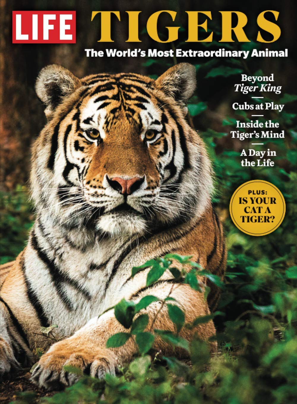 LIFE Tigers: The World's Most Extraordinary Animal by LIFE | Goodreads