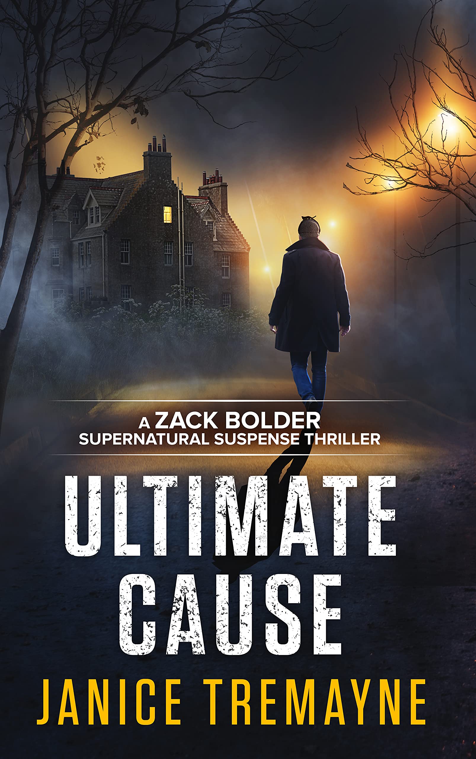 Ultimate Cause (Zack Bolder, #4) by Janice Tremayne | Goodreads