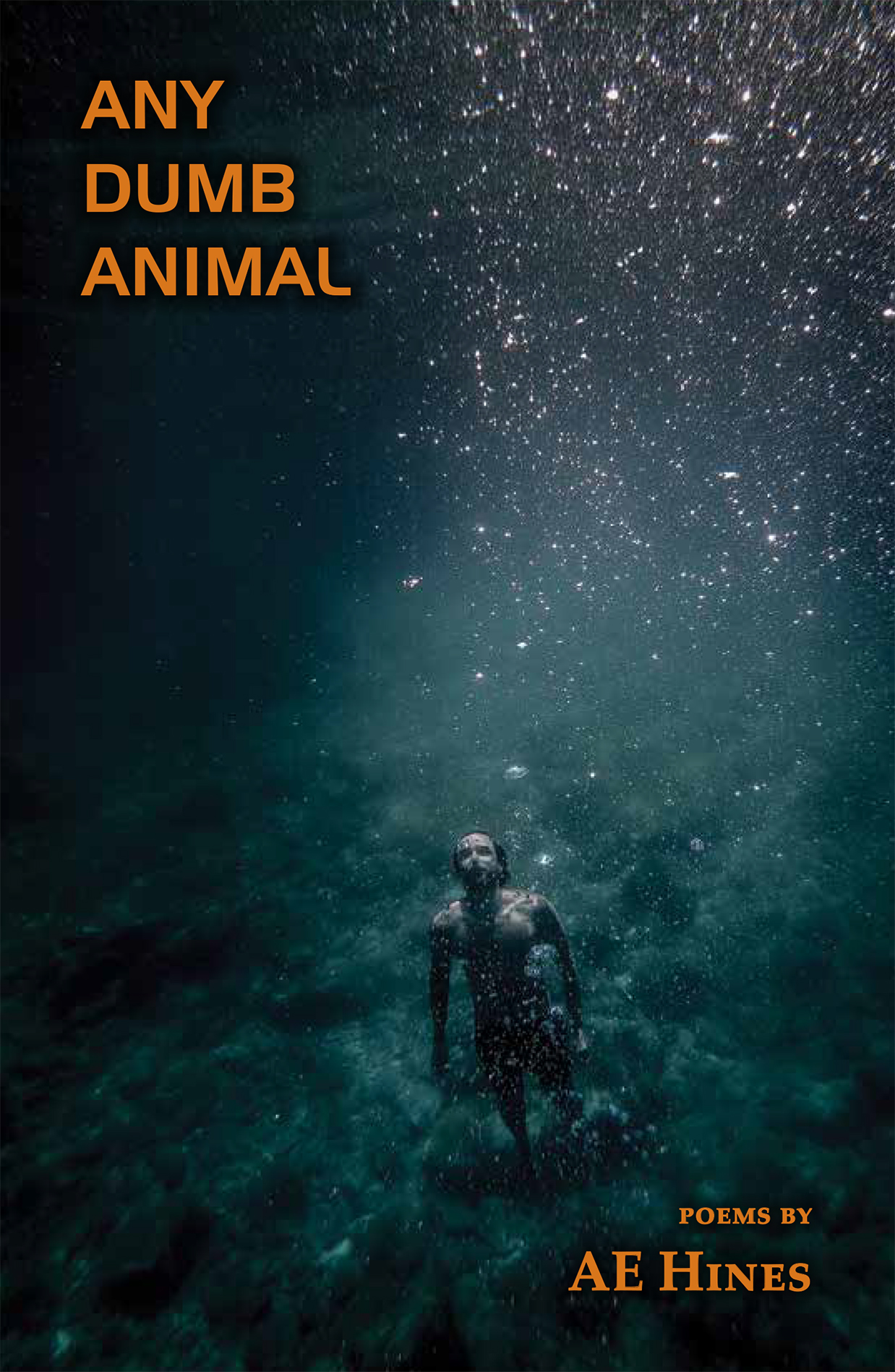 Any Dumb Animal by AE Hines | Goodreads