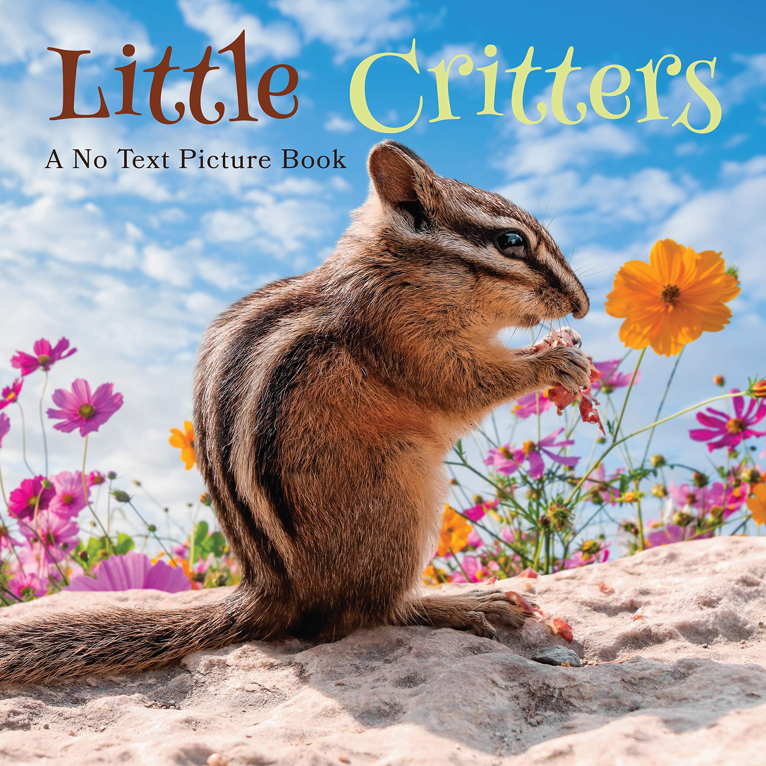 Little Critters, A No Text Picture Book: A Calming Gift for Alzheimer ...