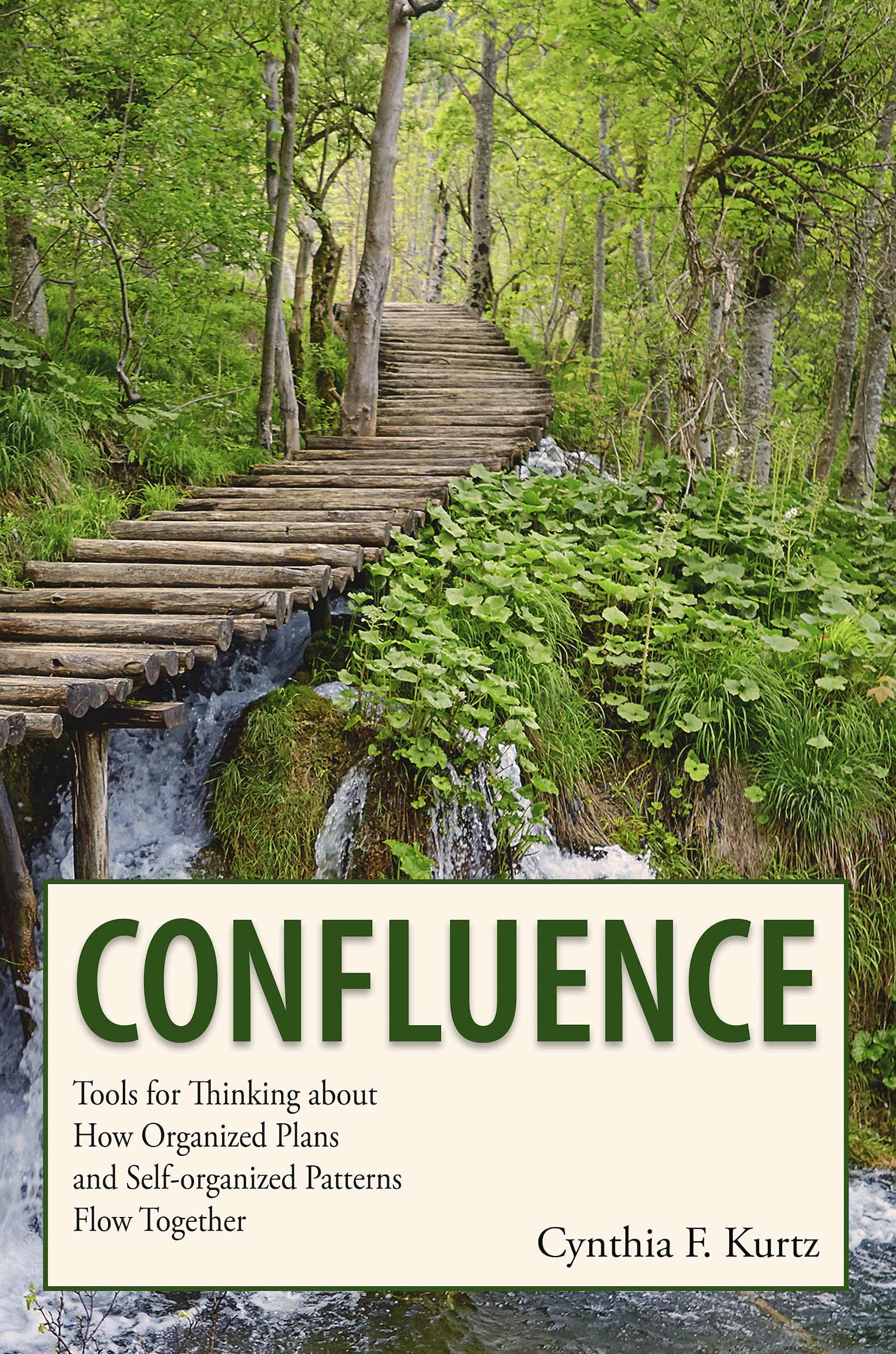 Confluence: Tools for Thinking about How Organized Plans and Self ...