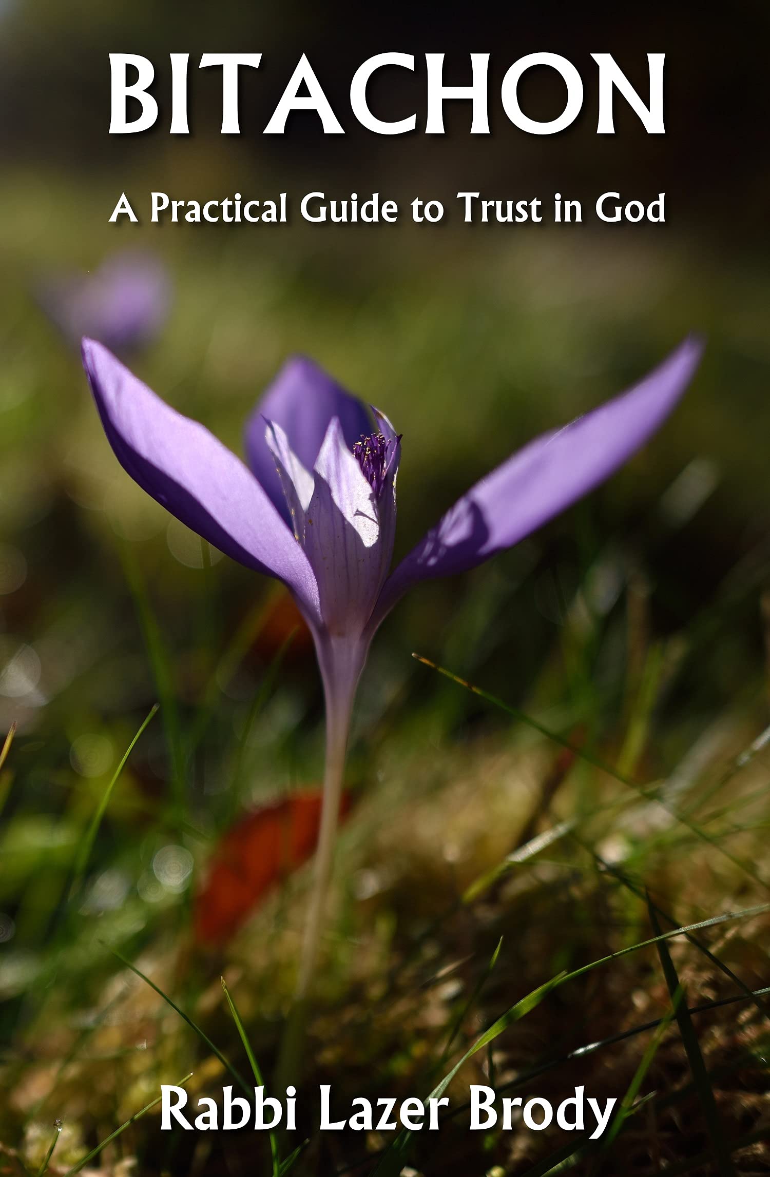 Bitachon: A Practical Guide to Trust in God by Lazer Brody | Goodreads