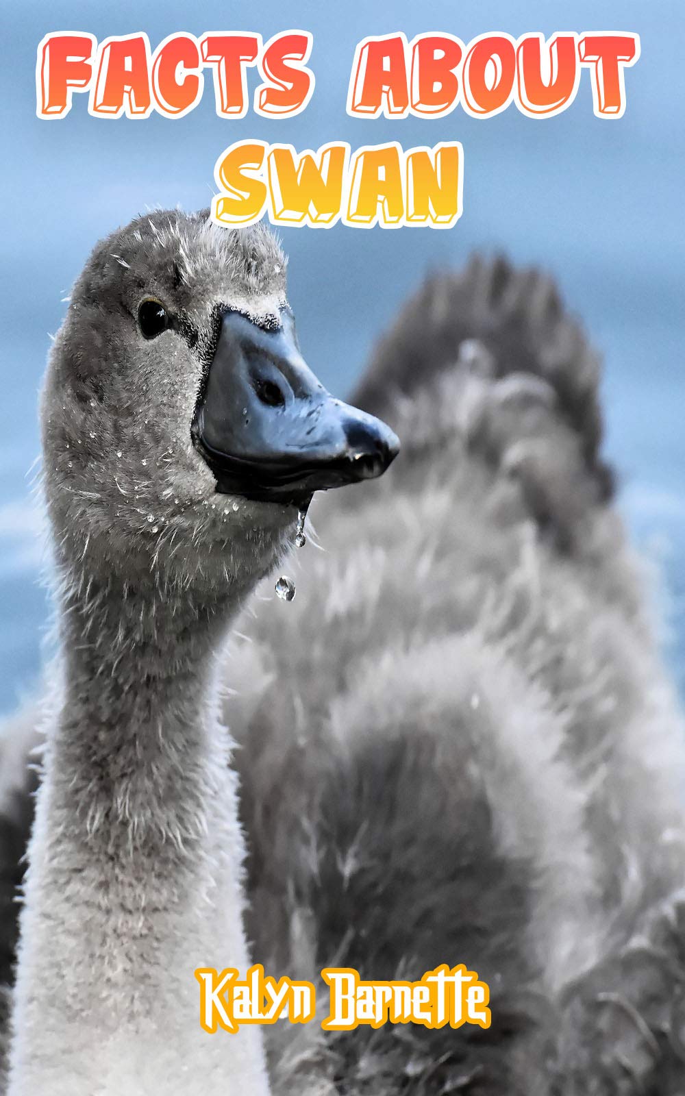 INTERESTING FACTS ABOUT SWAN: SWAN fact for girl age 1-10 SWAN fact for ...