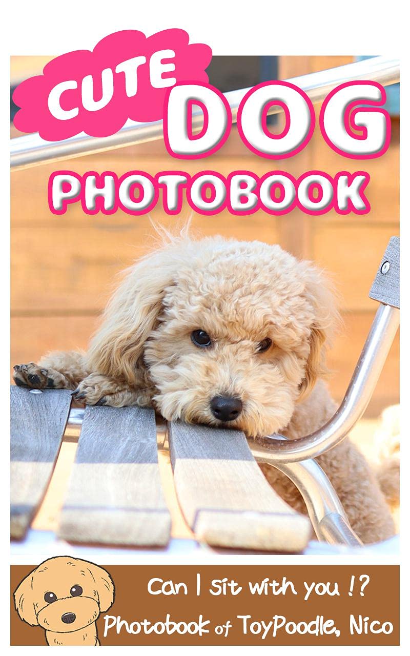 Cute Dog Photobook: Toy Poodle, Nico by T Aman | Goodreads