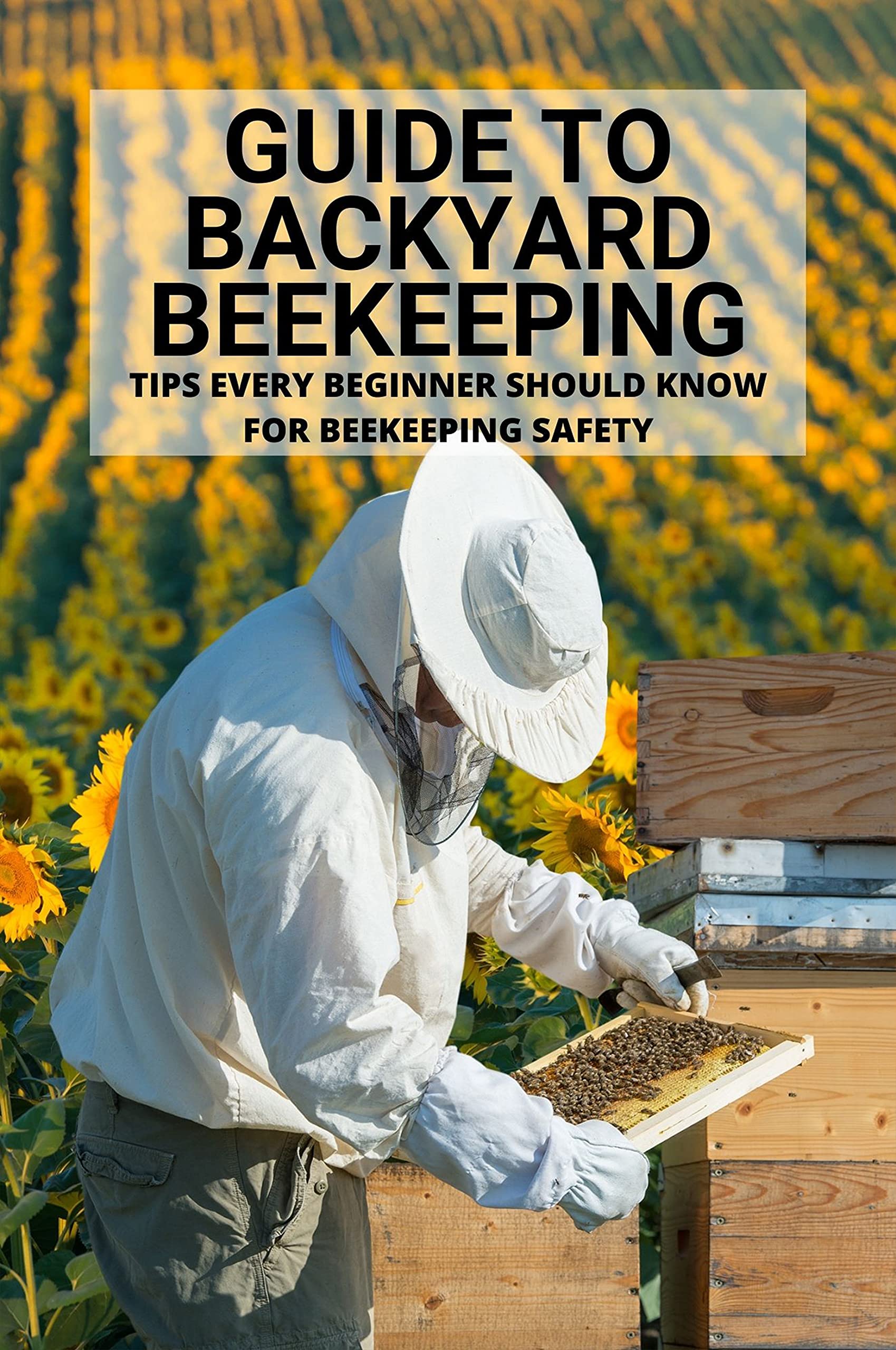 Guide To Backyard Beekeeping: Tips Every Beginner Should Know For ...
