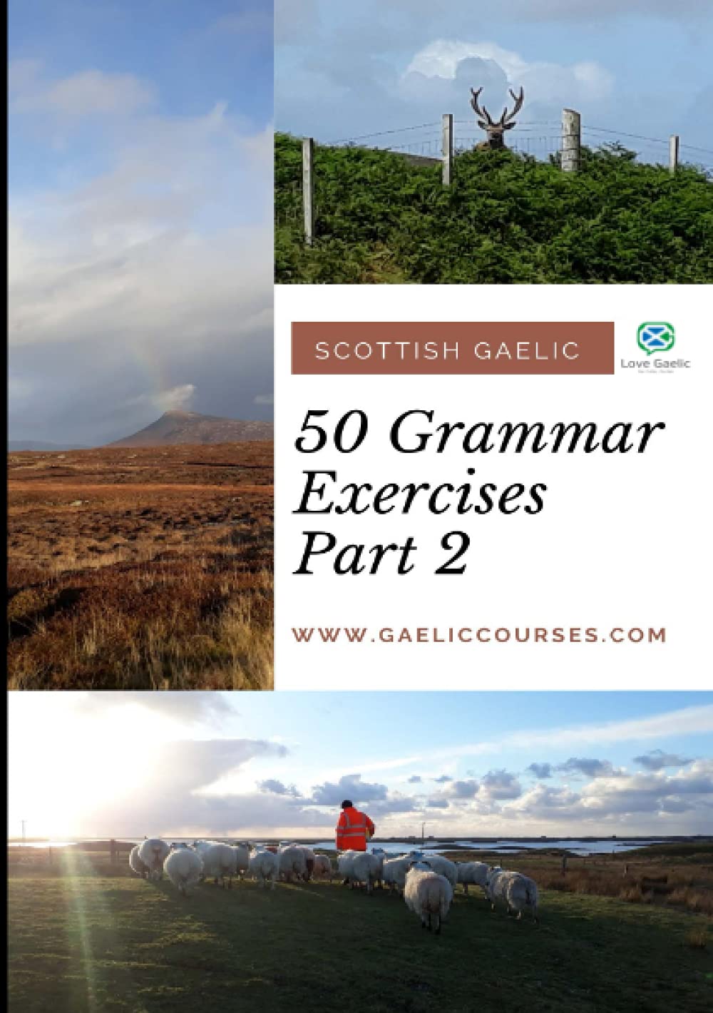 50 Grammar Exercises Part 2: Scottish Gaelic by Ann Desseyn - Cooper ...