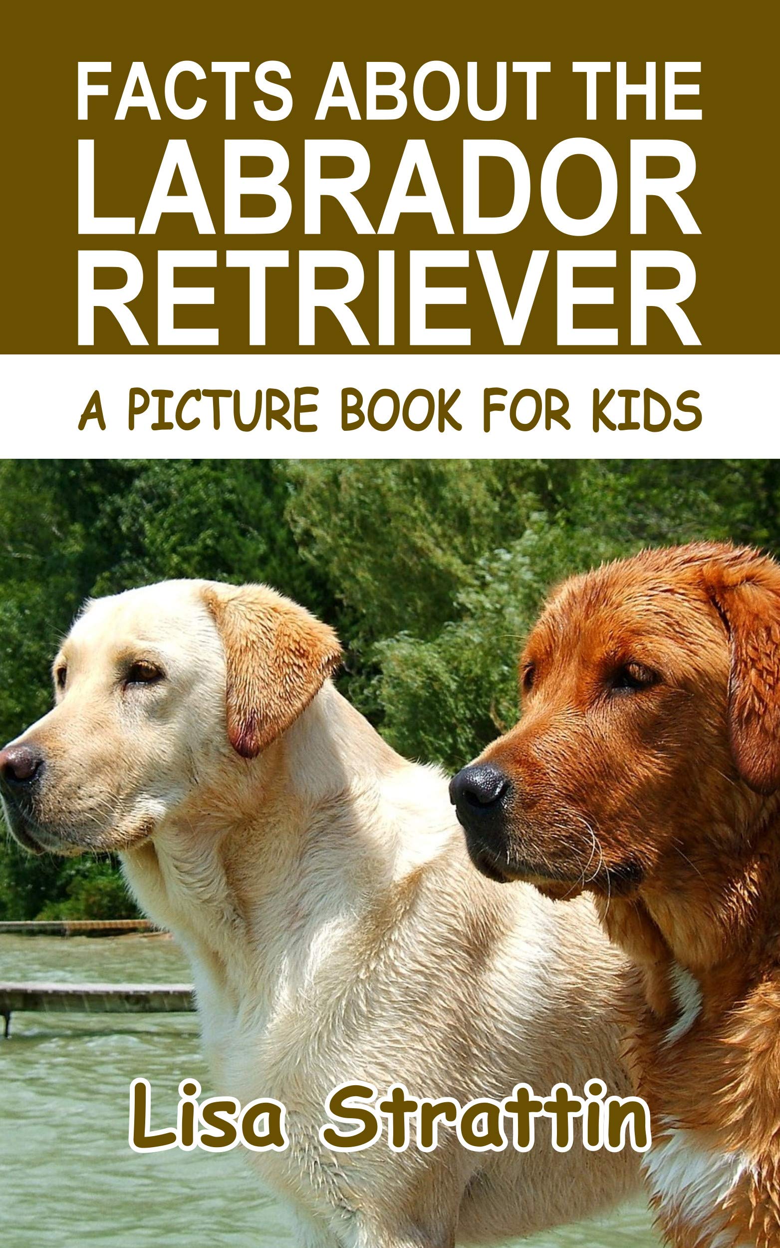 Facts About the Labrador Retriever by Lisa Strattin | Goodreads