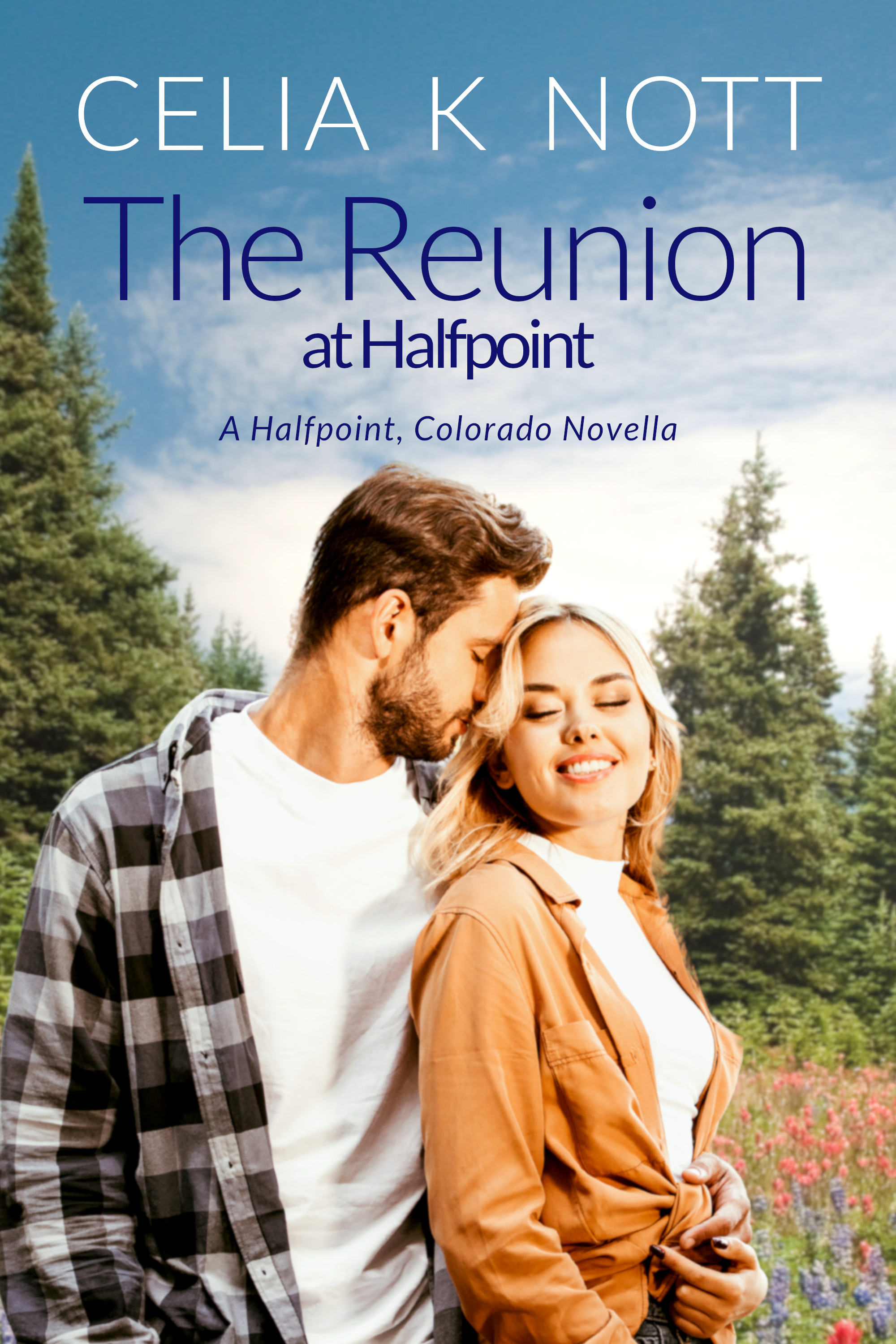 The Reunion at Halfpoint (Halfpoint, Colorado, .5) by Celia K. Nott | Goodreads