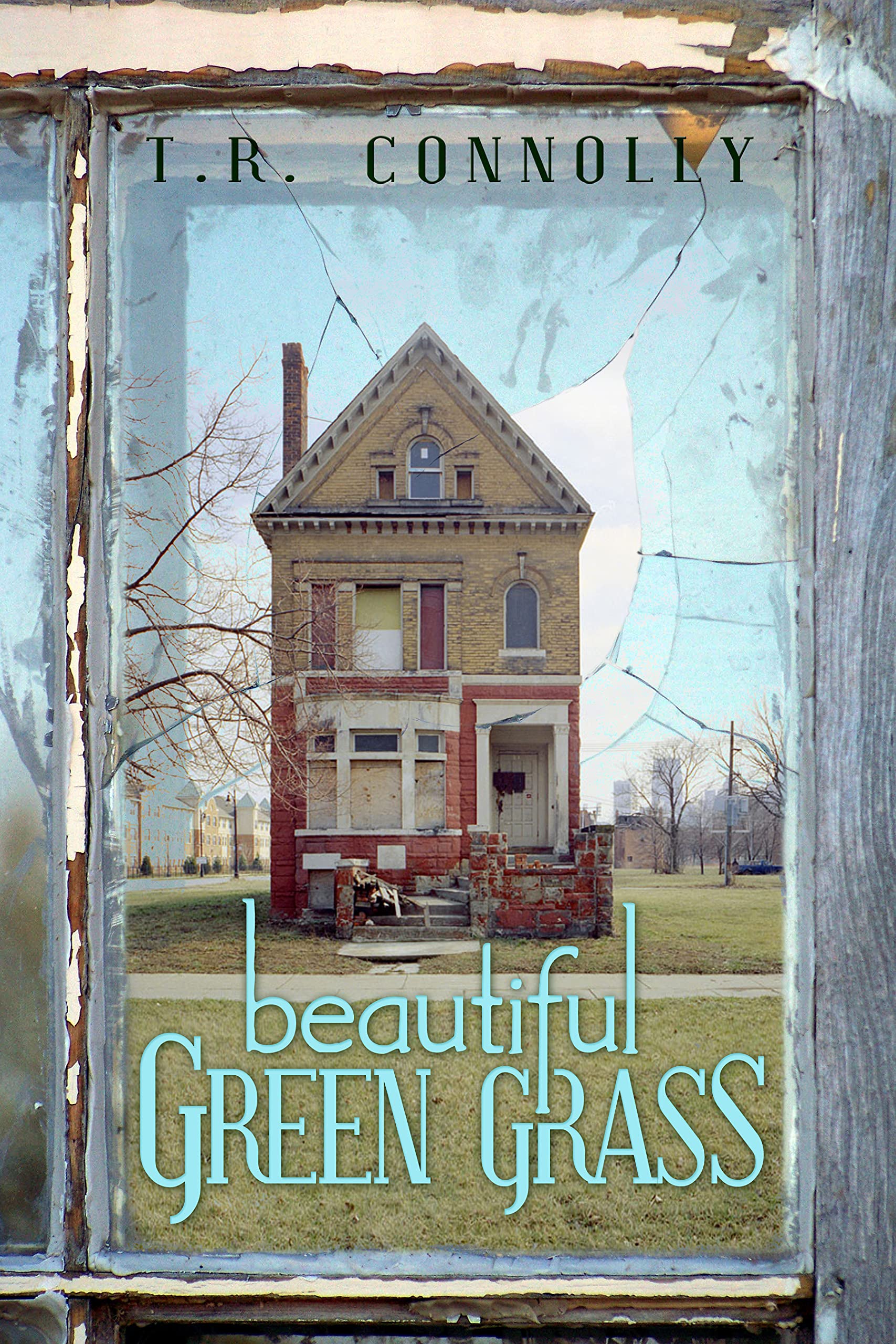 Beautiful Green Grass: Short stories of love, loss, discovery and ...