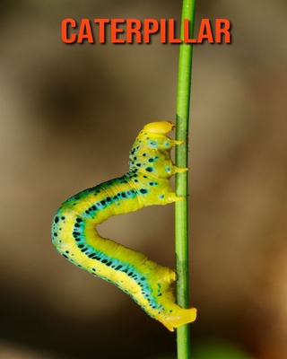 Caterpillar: Amazing Photos & Fun Facts Book About Caterpillar For Kids ...