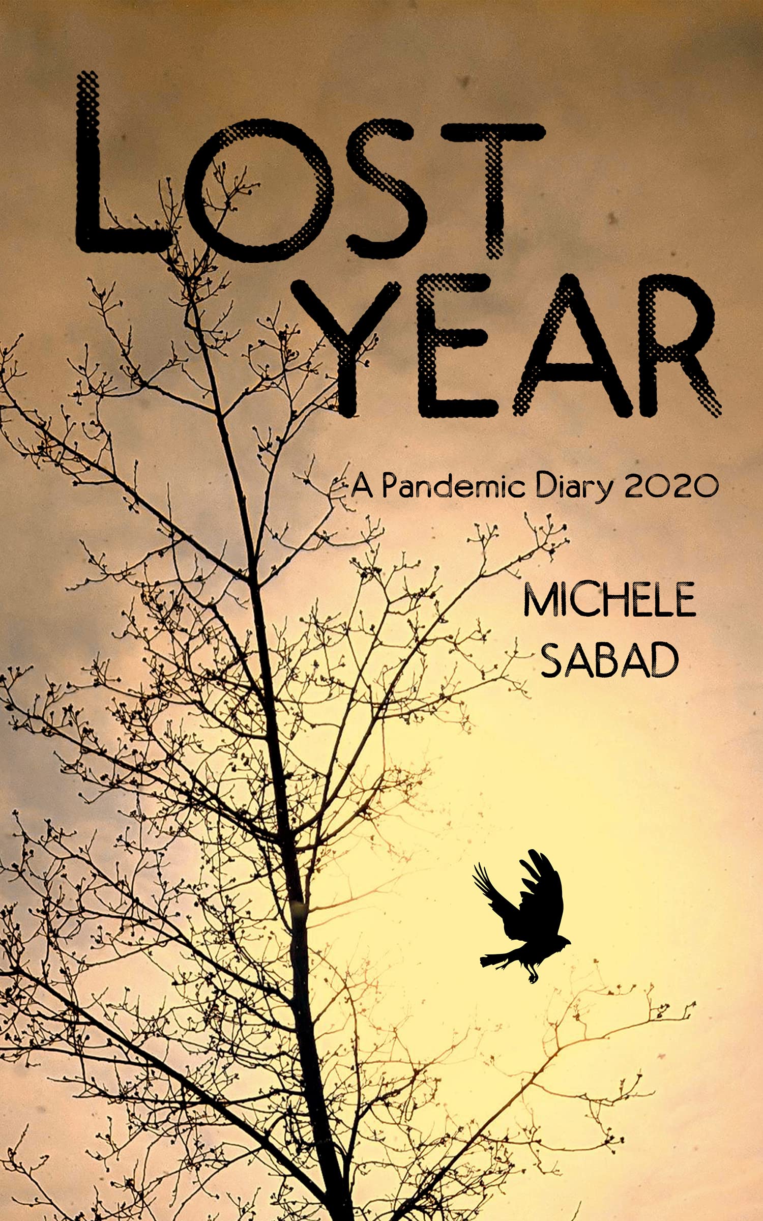 Lost Year: A Pandemic Diary 2020 by Michele Sabad | Goodreads